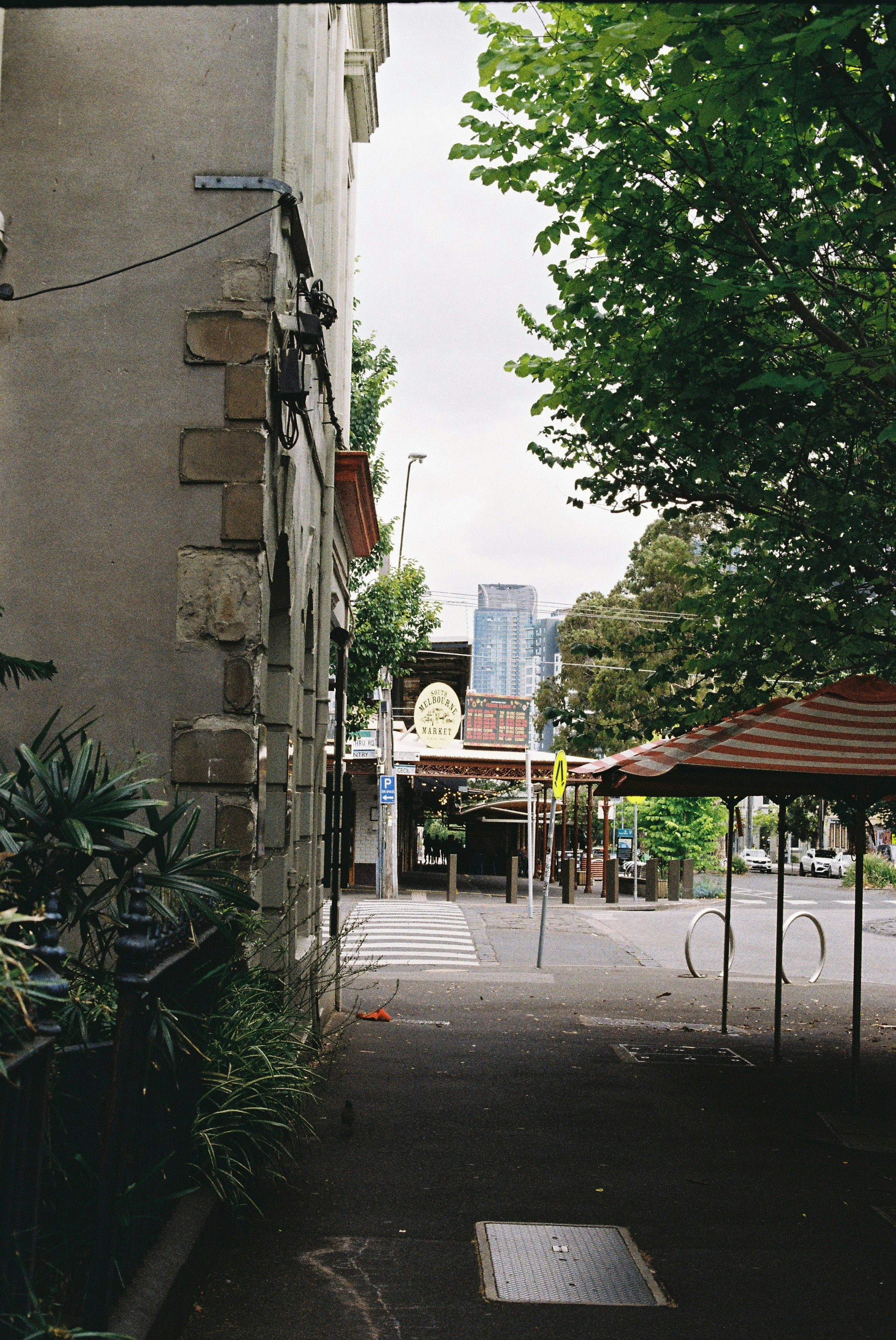 Urban Alleyway Framed by Green Canopy