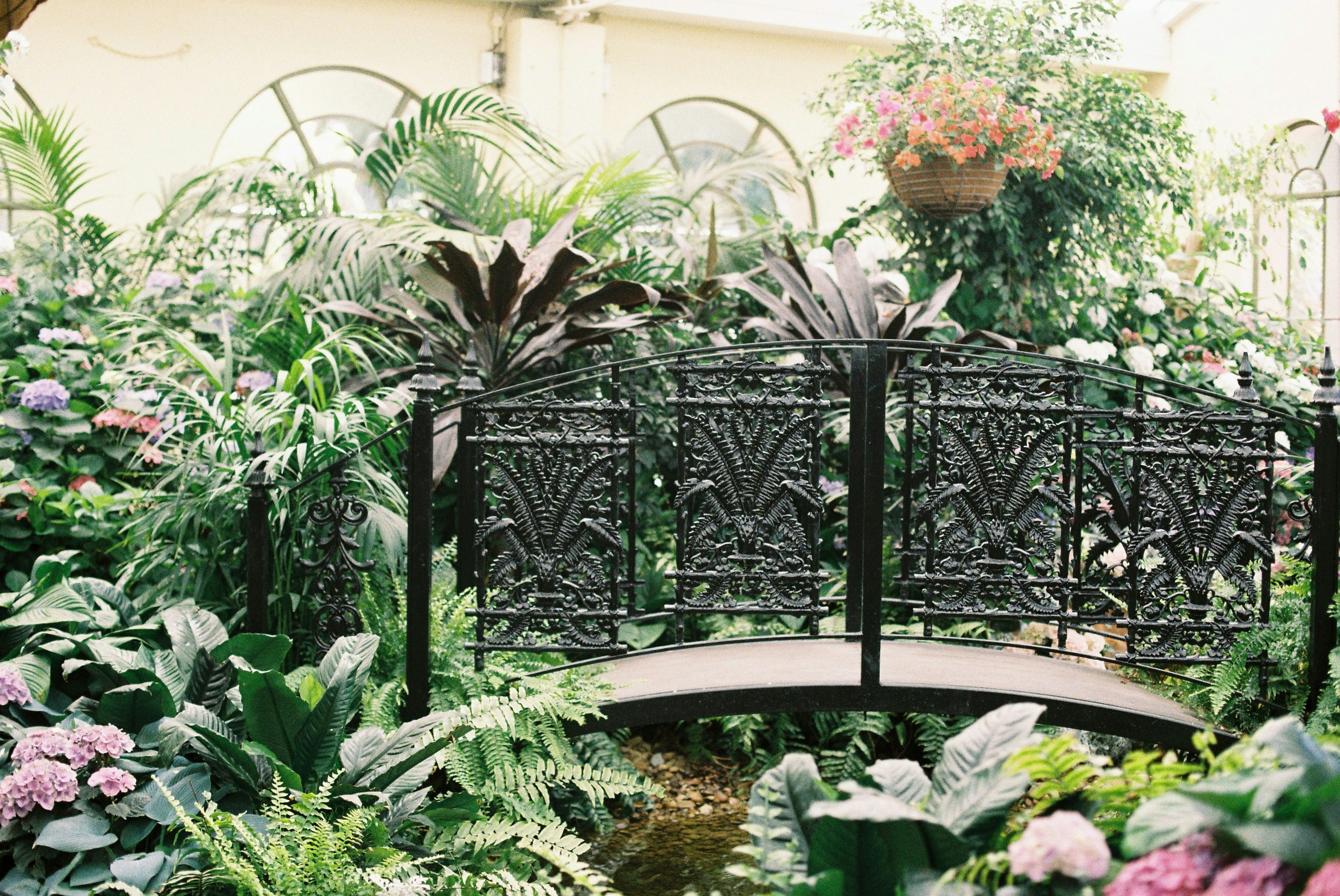 Ironlantern Garden: A Tranquil Bridge Weaving Through Blooms
