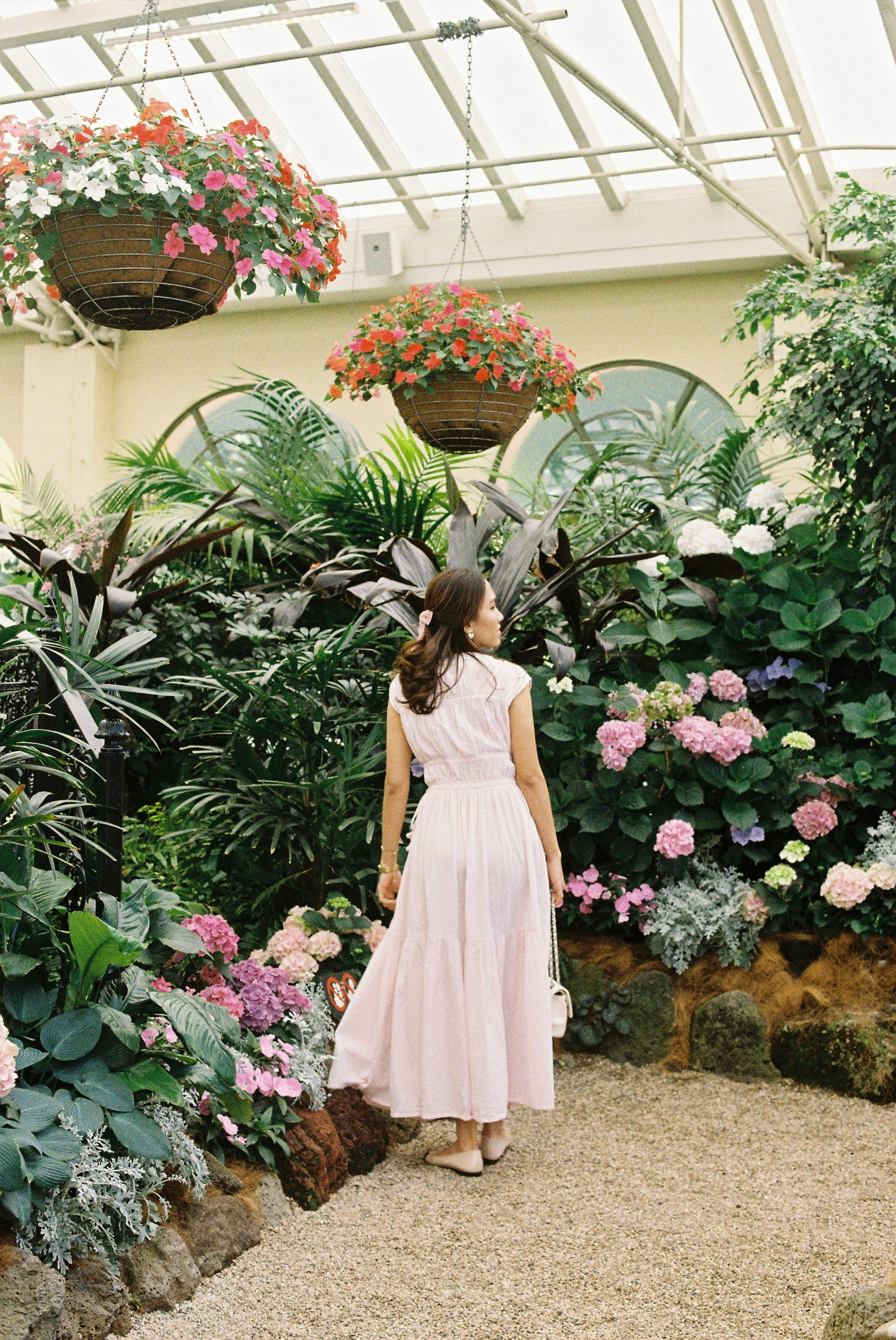 Soft Pink in a Glasshouse Garden