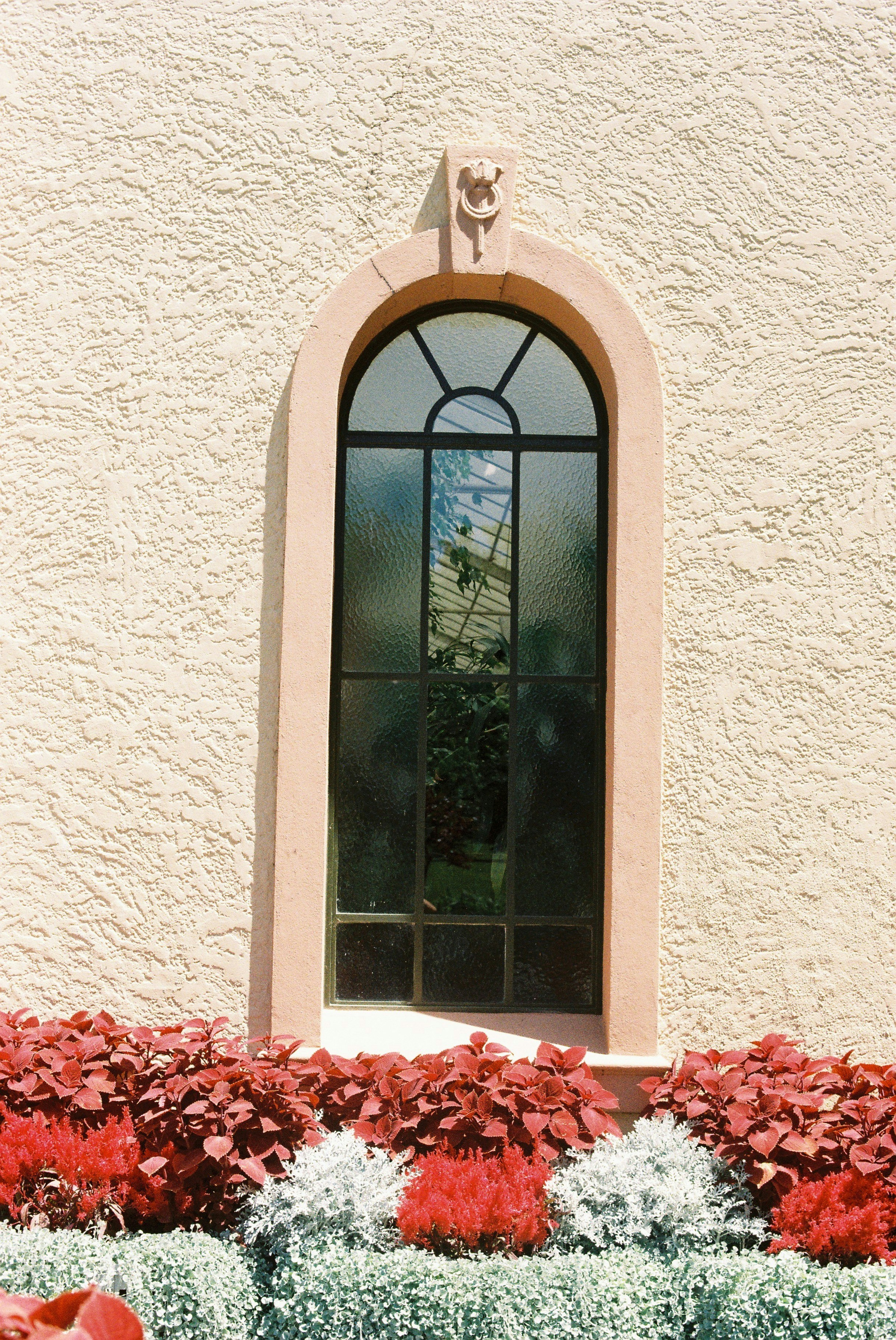 Arched Glass Window Framed by Coral Wall and Crimson Shrubs