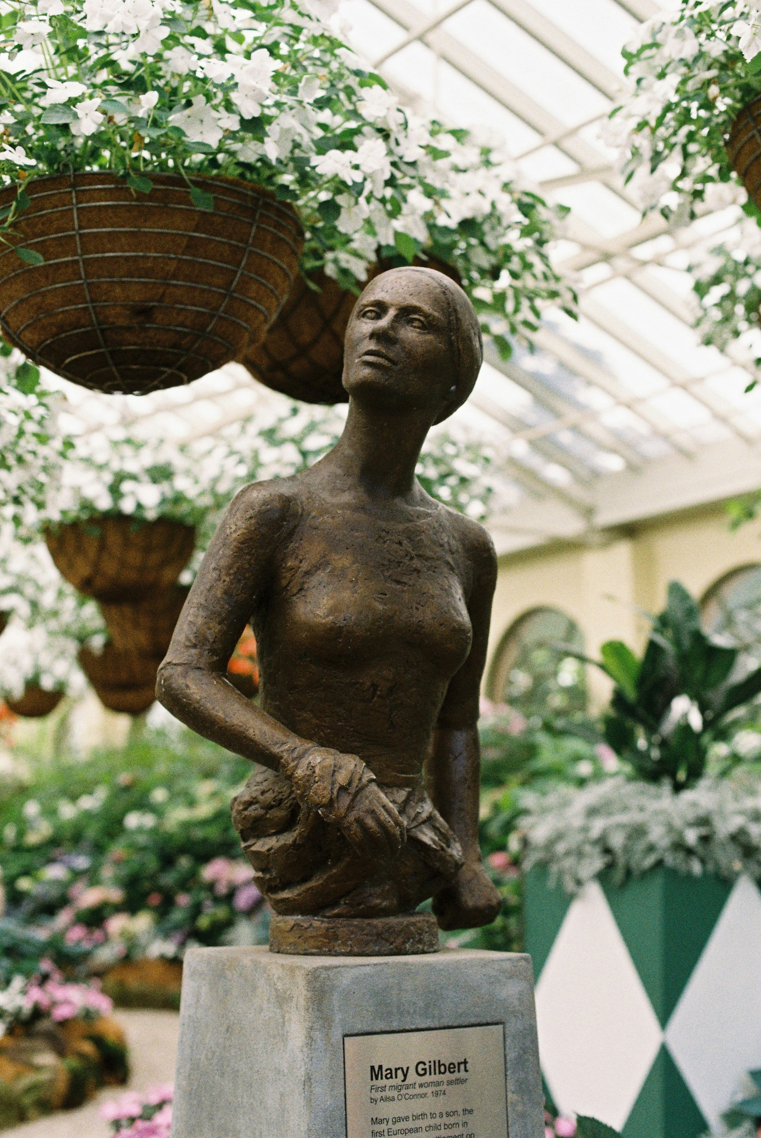 Statue in a Conservatory: A Quiet Portrait Among White Blossoms