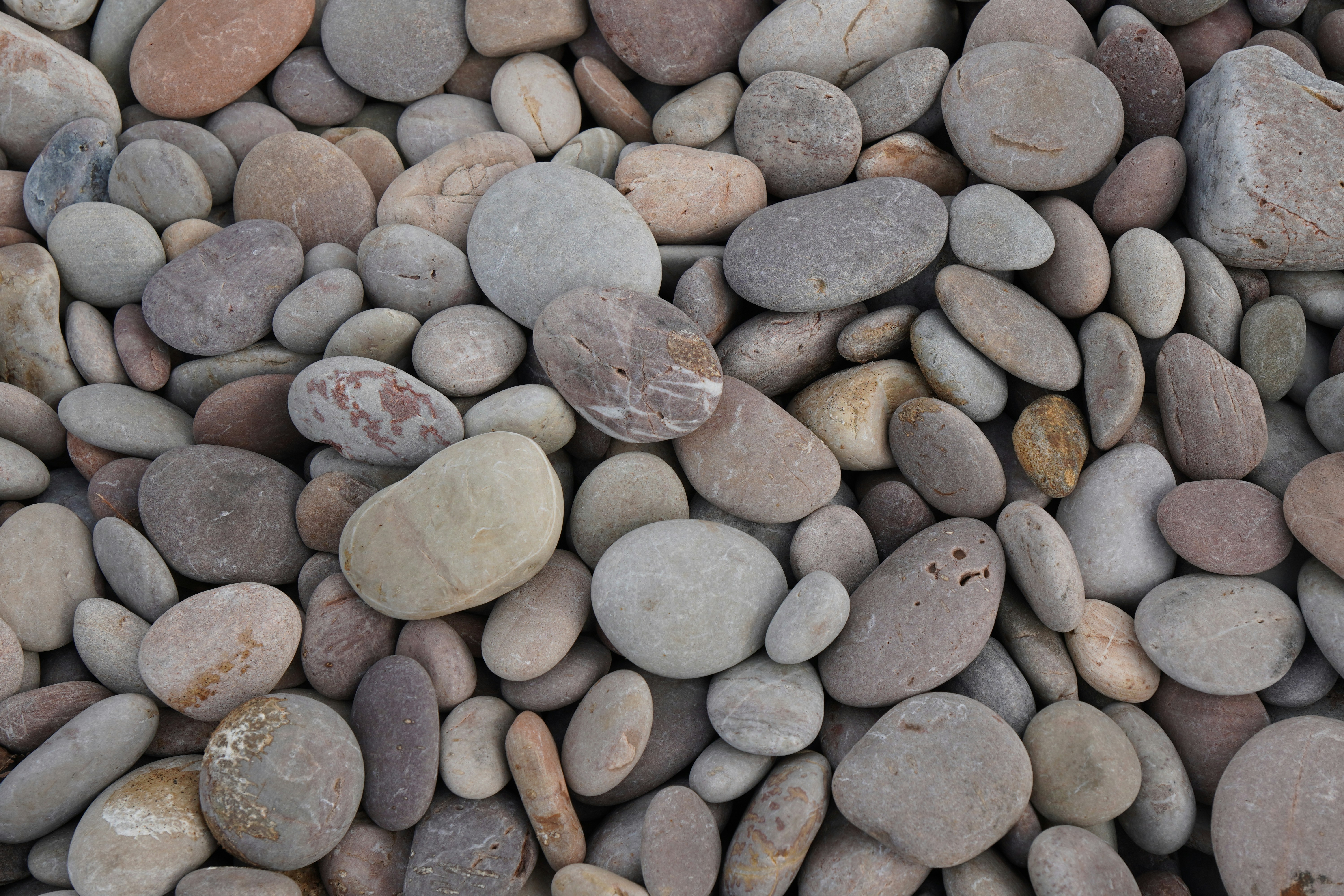Pebble Mosaic: Quiet Field of Smooth Stones