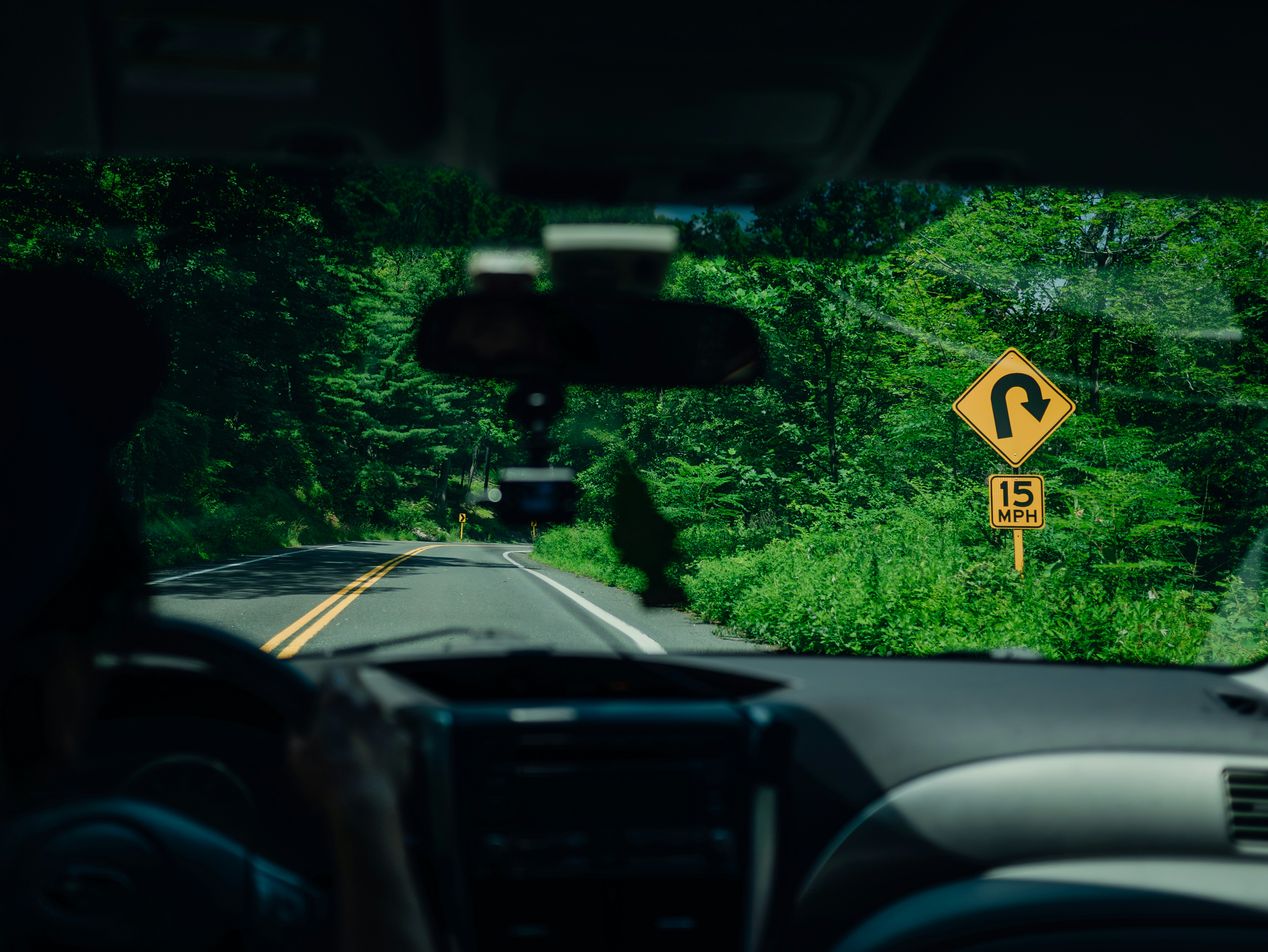 Forward View: Narrow Road Winding Through Green Corridor