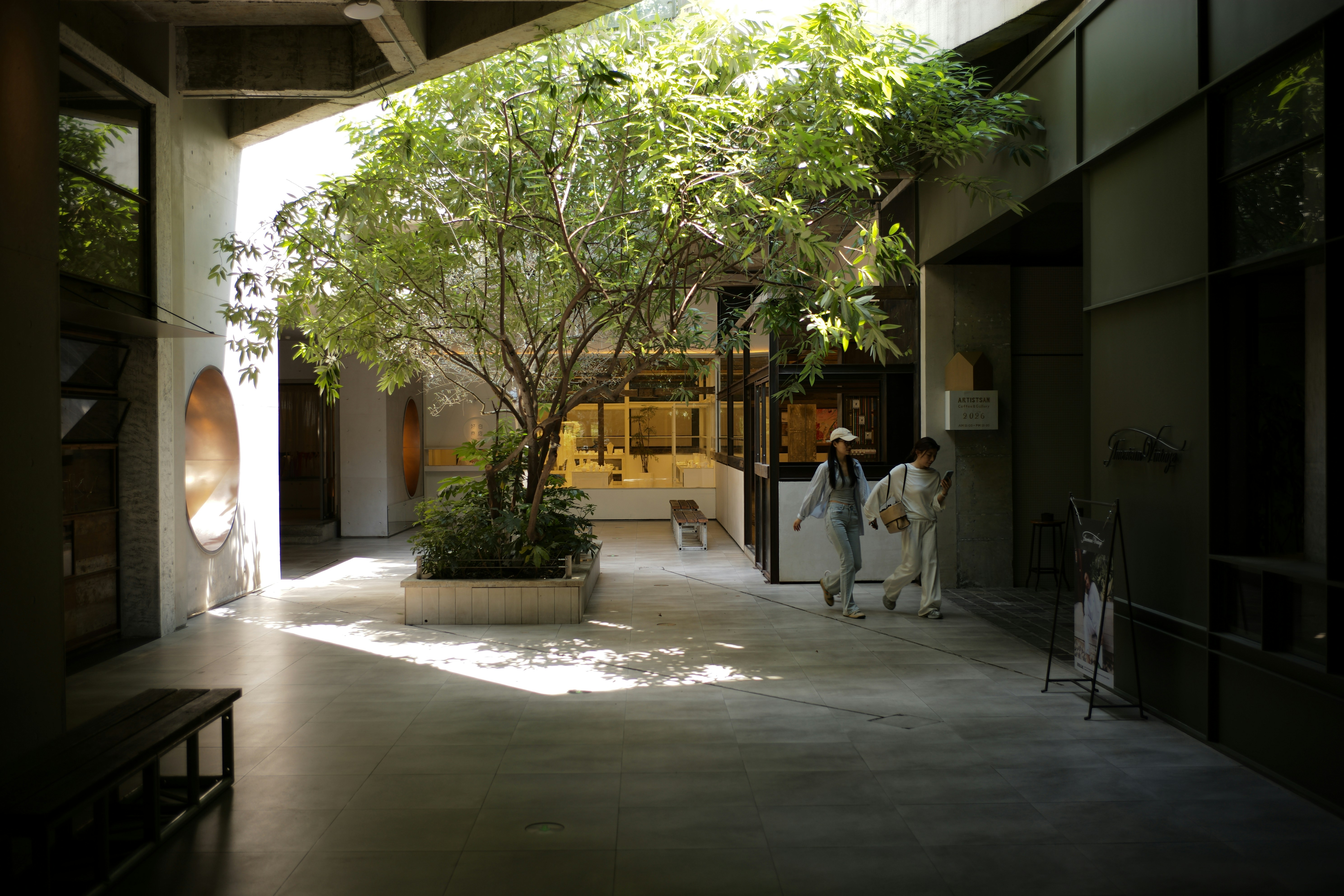 Quiet Courtyard in Morning Light