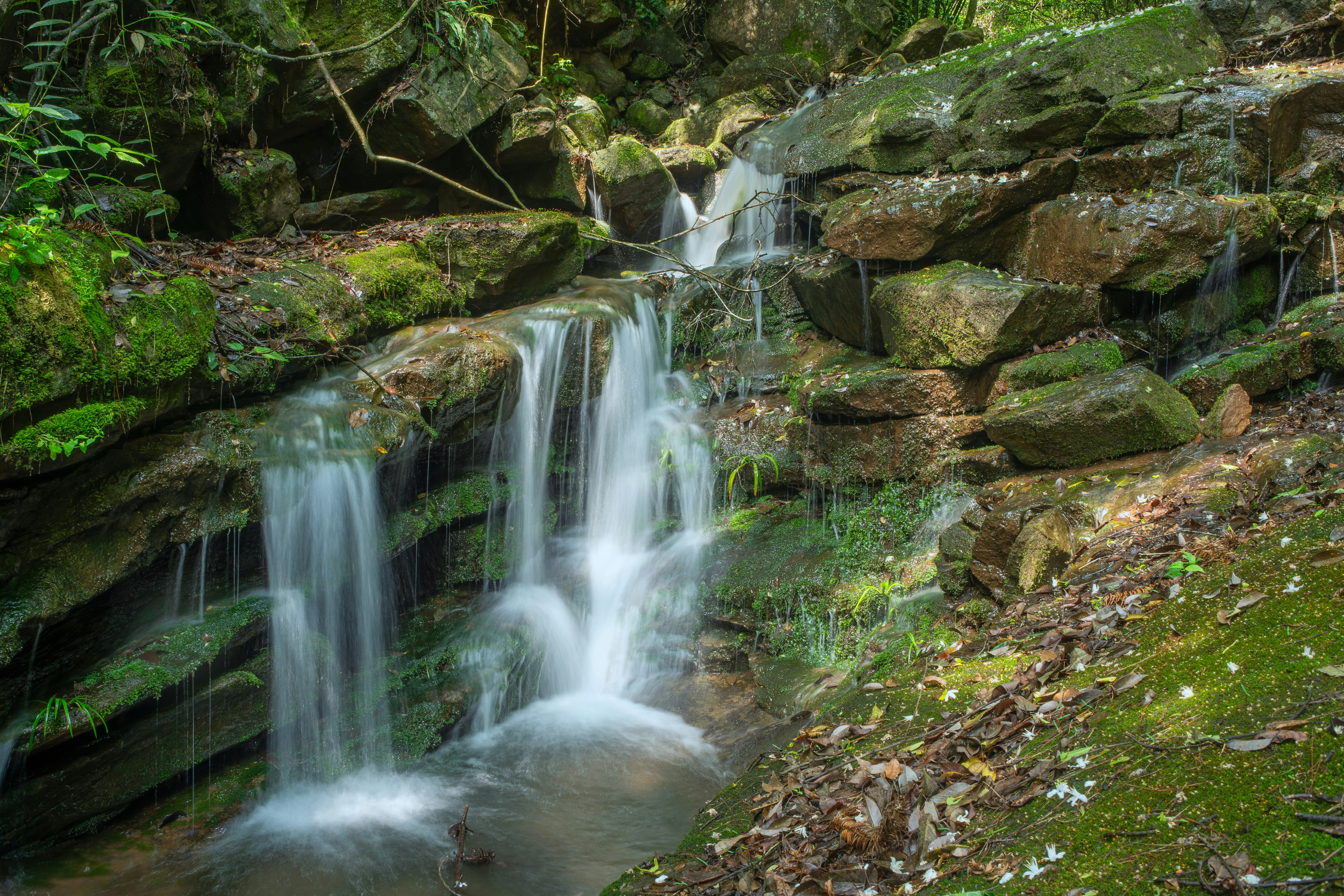 Whispering Cascade Between Mossy Slabs