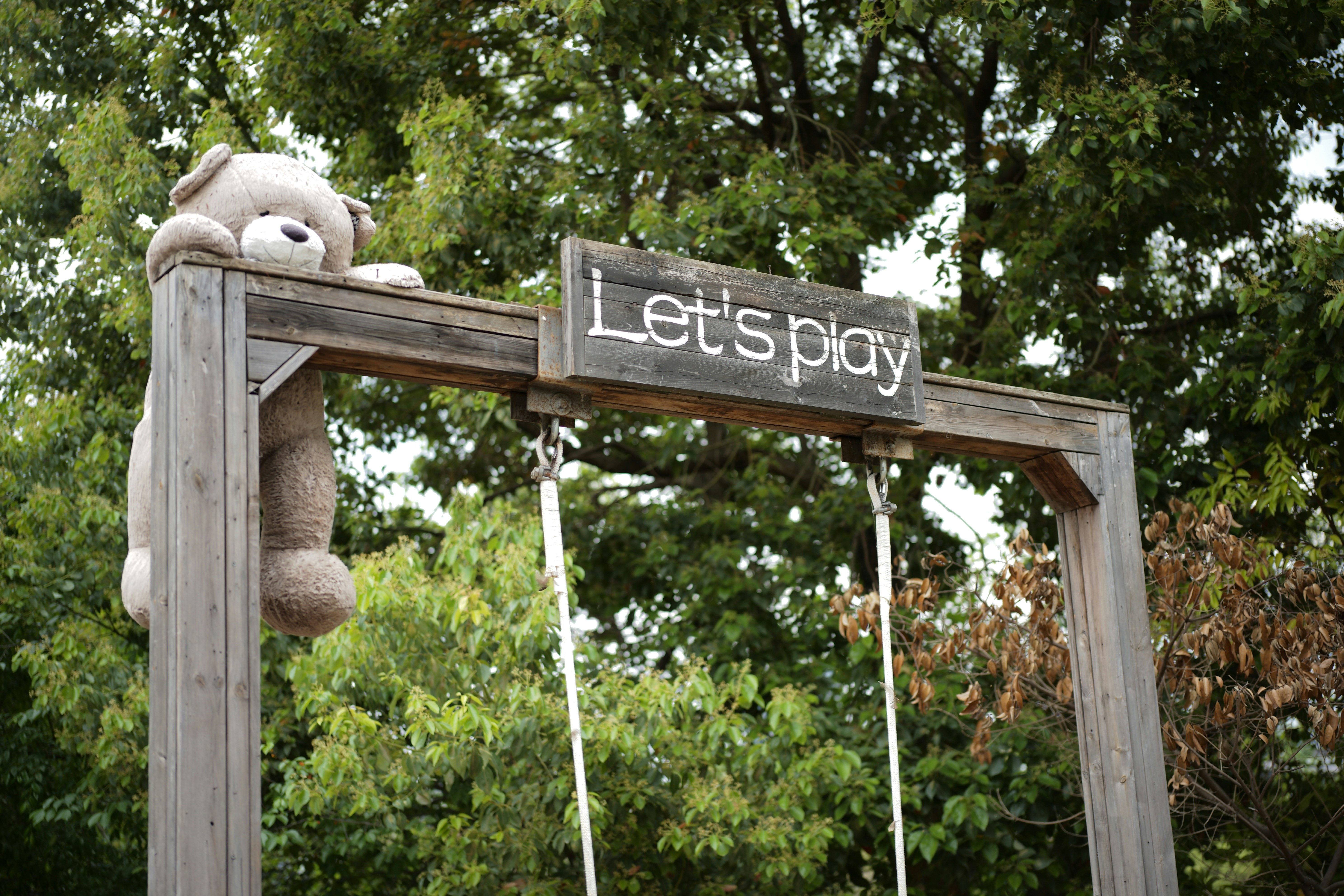 Playtime Arch: A Plush Bear Framing the Signpost