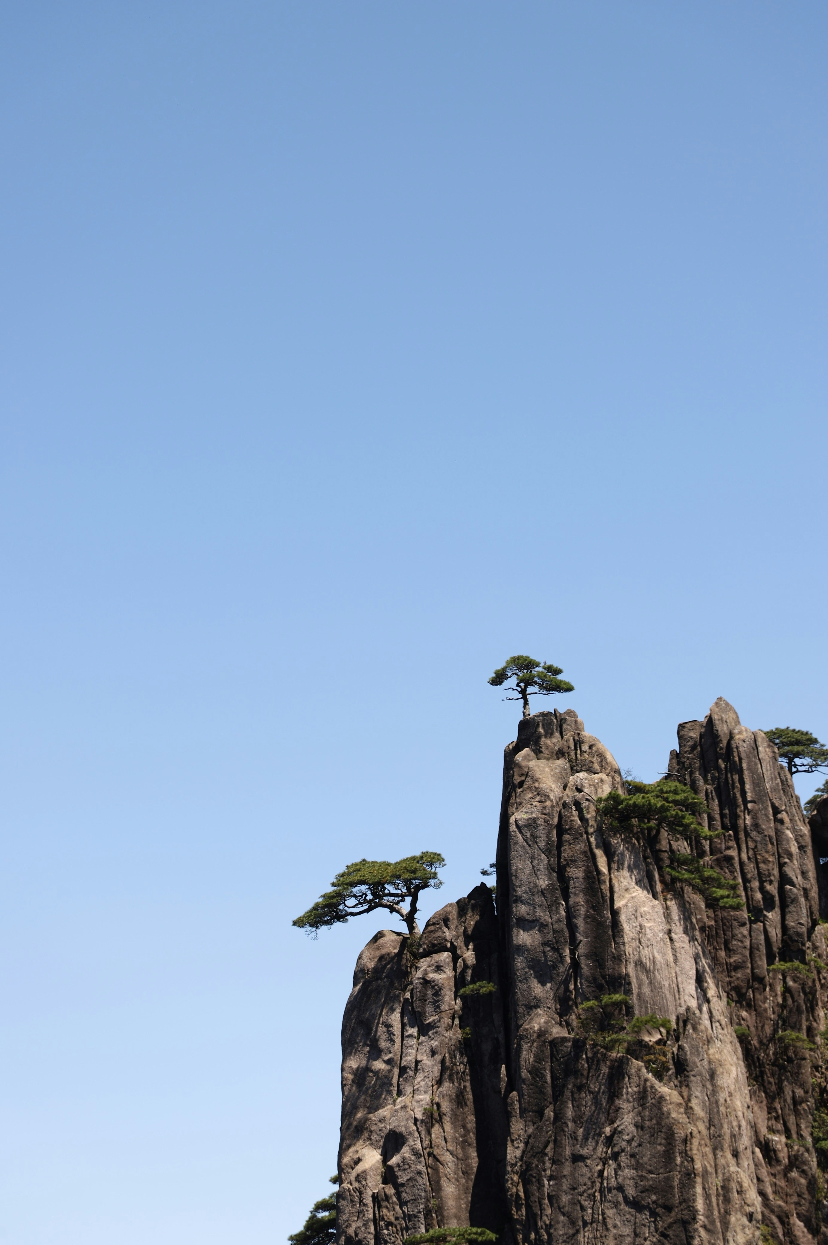 A lone pine crowns a jagged cliff under a clear blue sky