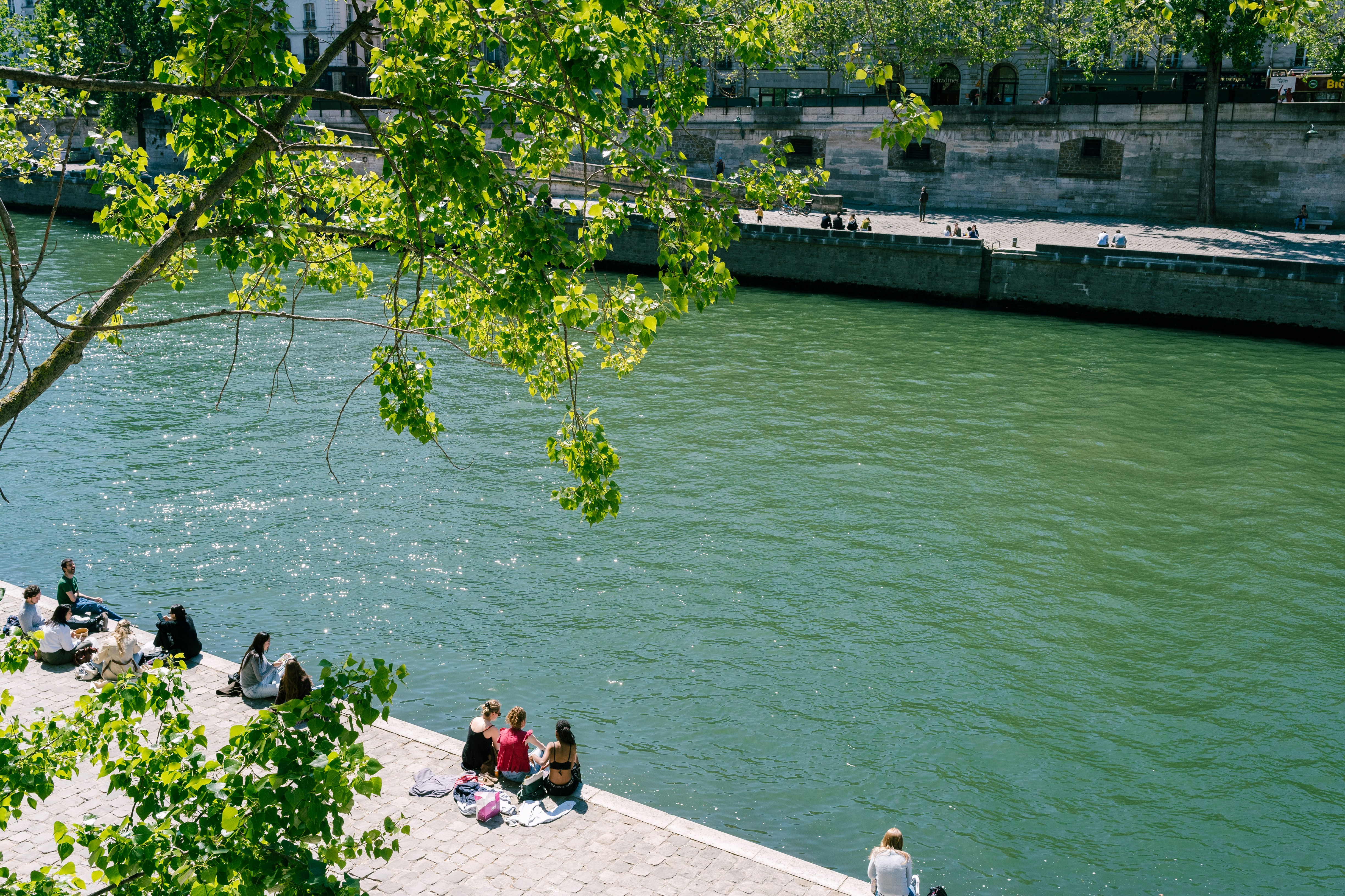 Sunlit Riverside Pause: Friends by the Emerald River