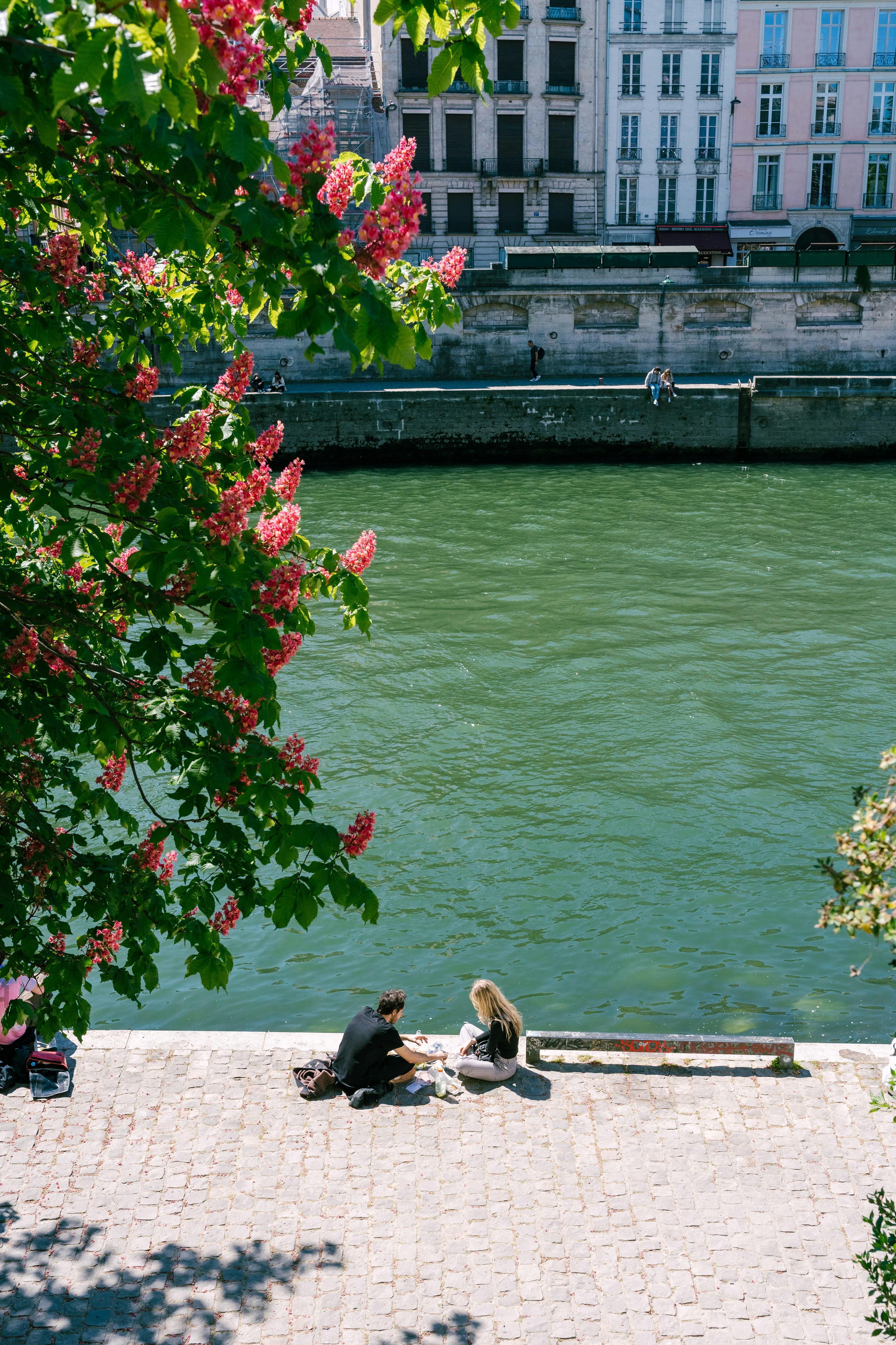 Couple on the Quay Beneath Blushing Blooms by the River