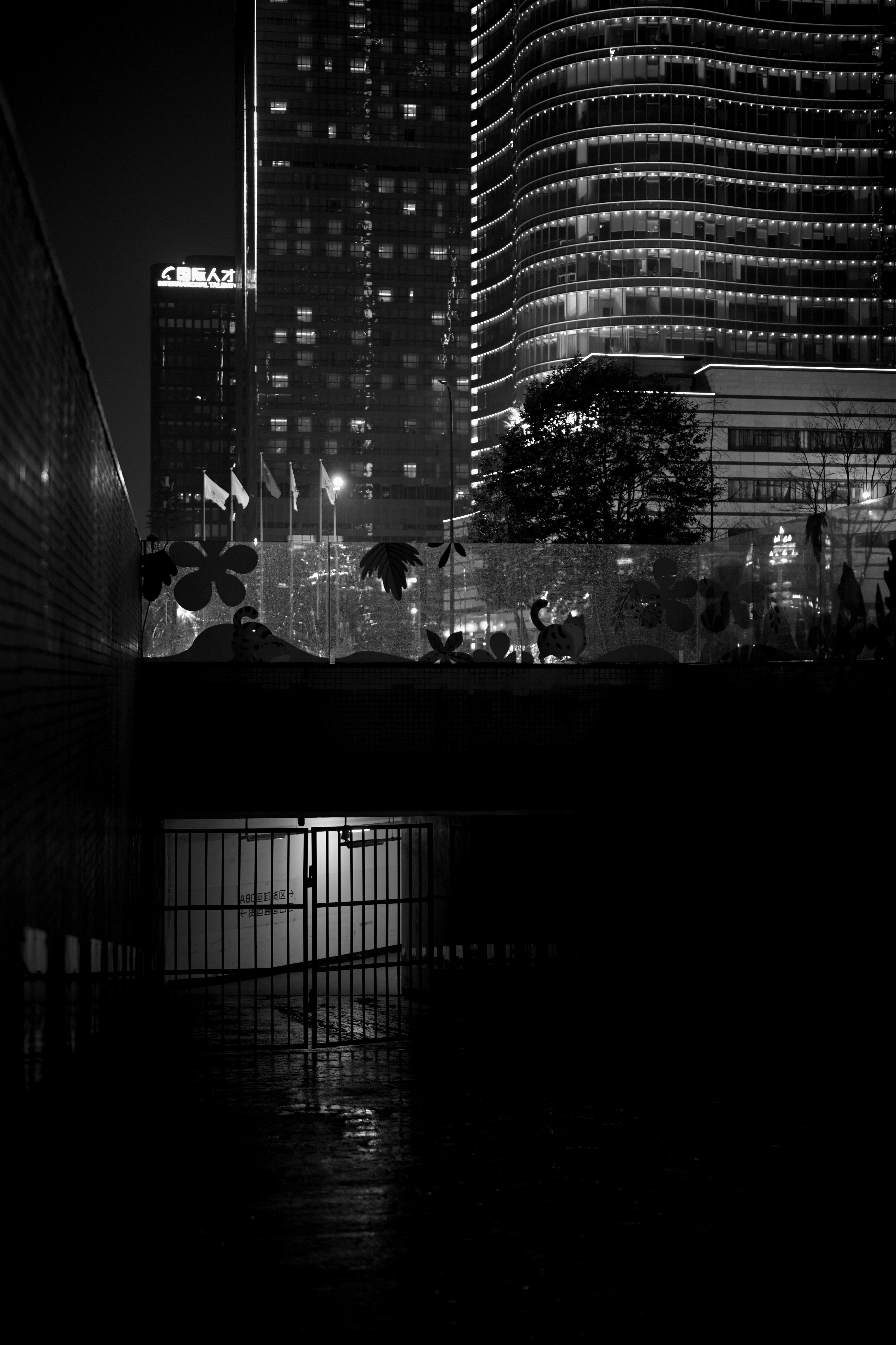 Night Glow Over Glass Garden