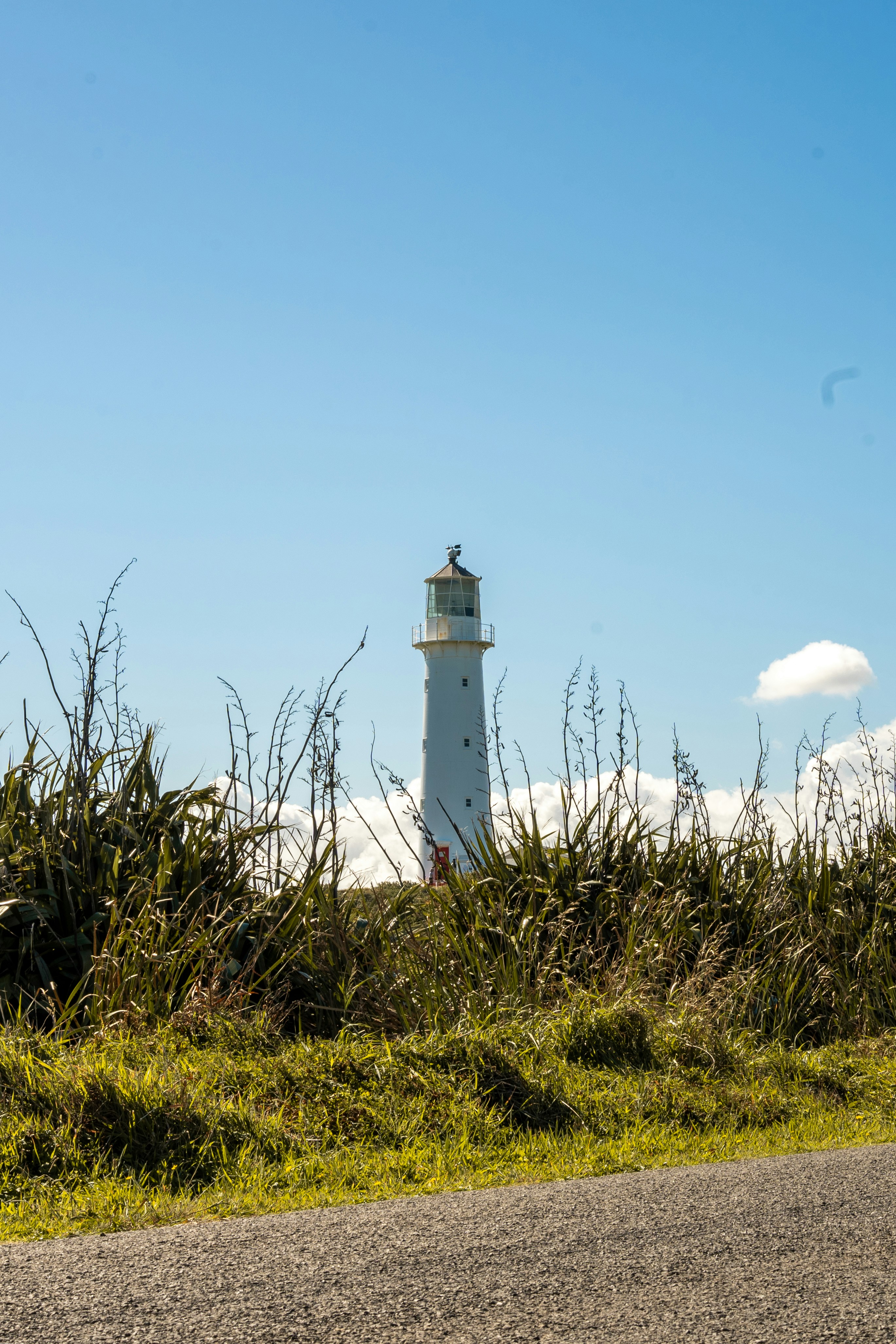 Lighthouse in the Field of Grasses Under a Clear Sky
