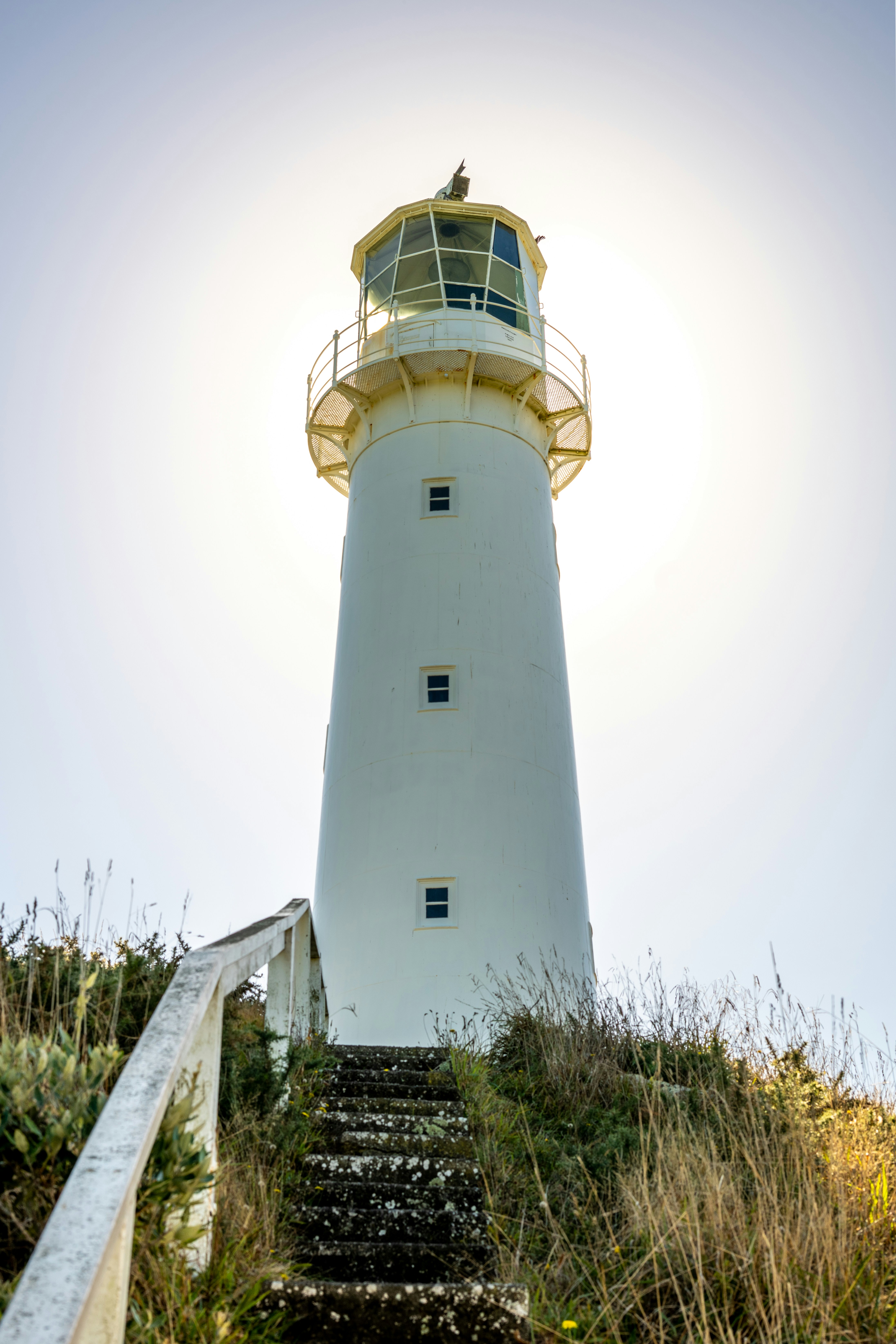 Beacon in the Bright Halo: A Lighthouse Reaching Toward the Sky