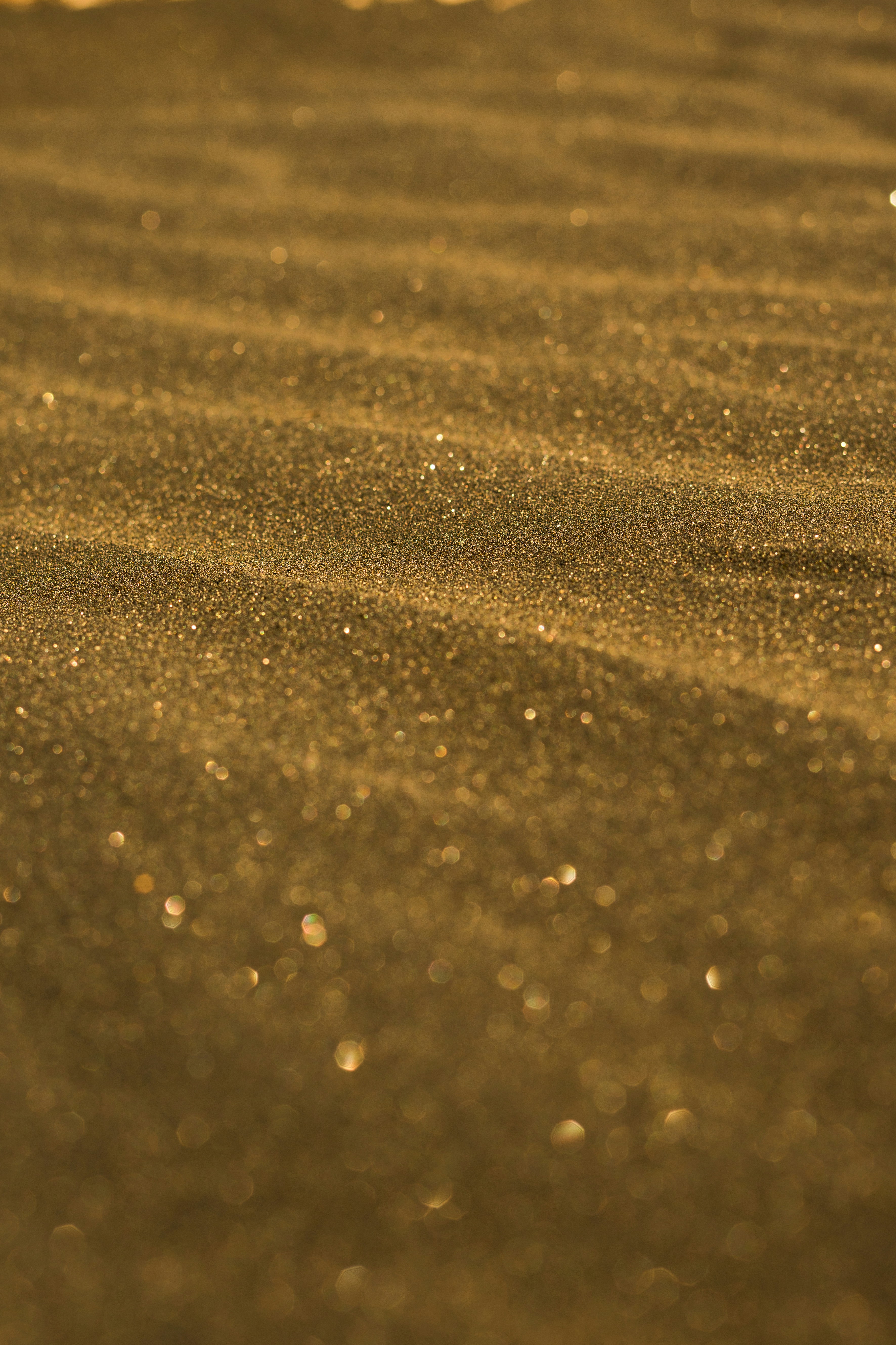 Golden Dune Microtextures at Dusk