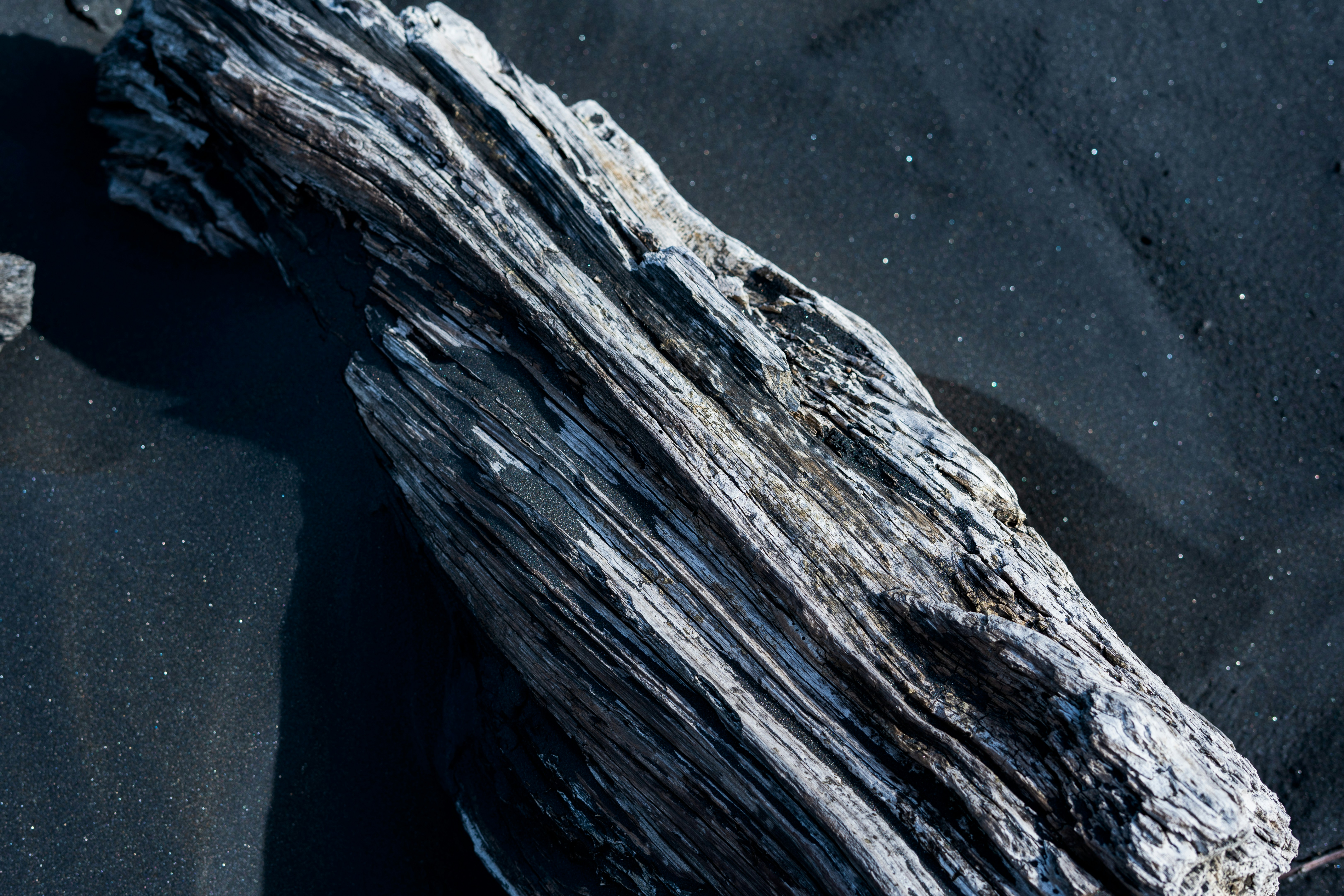 Driftwood Crossroad: A Grainy Silhouette on Stormy Sand