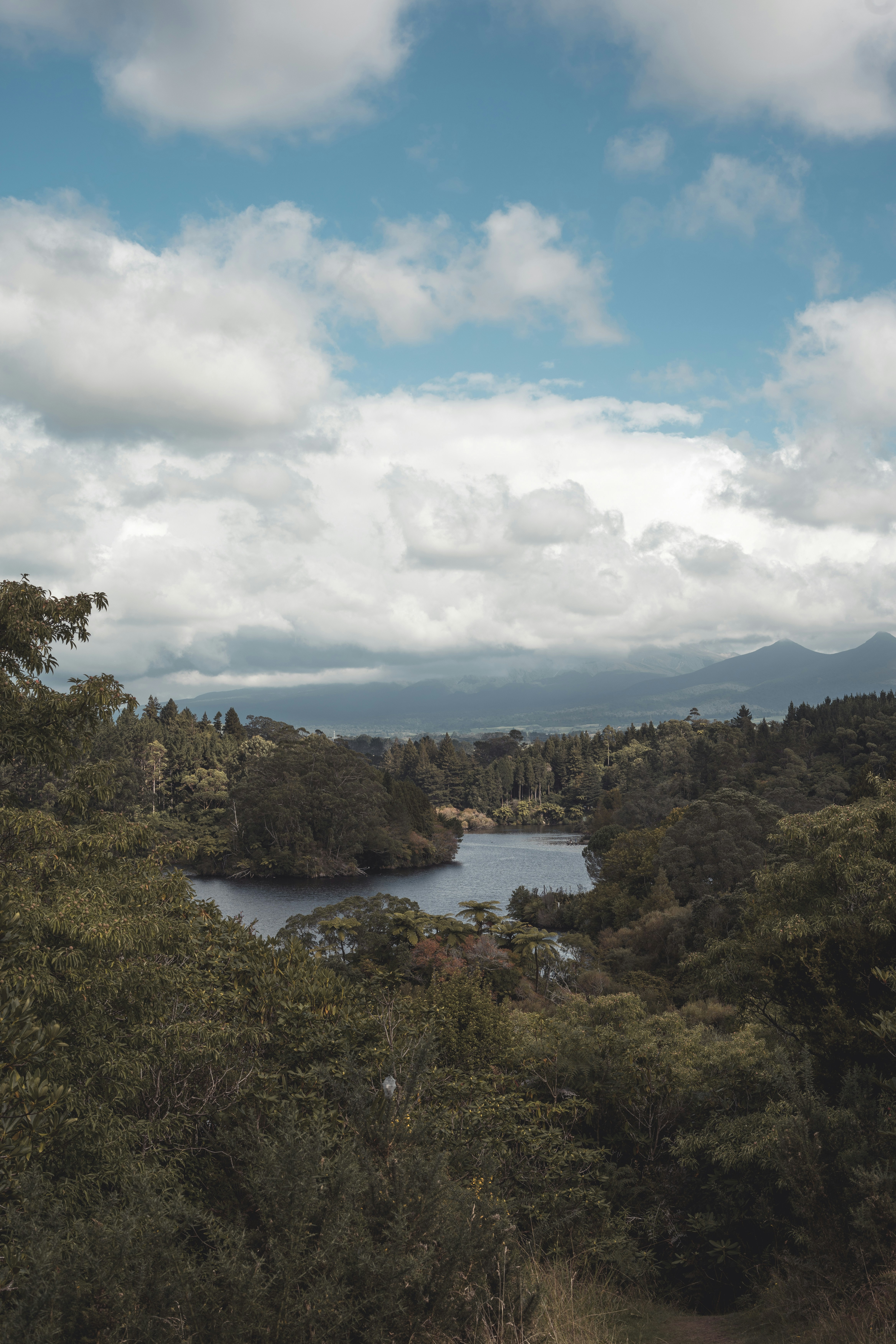 Valley Veil: A Serene River Snaking Through Forested Hills