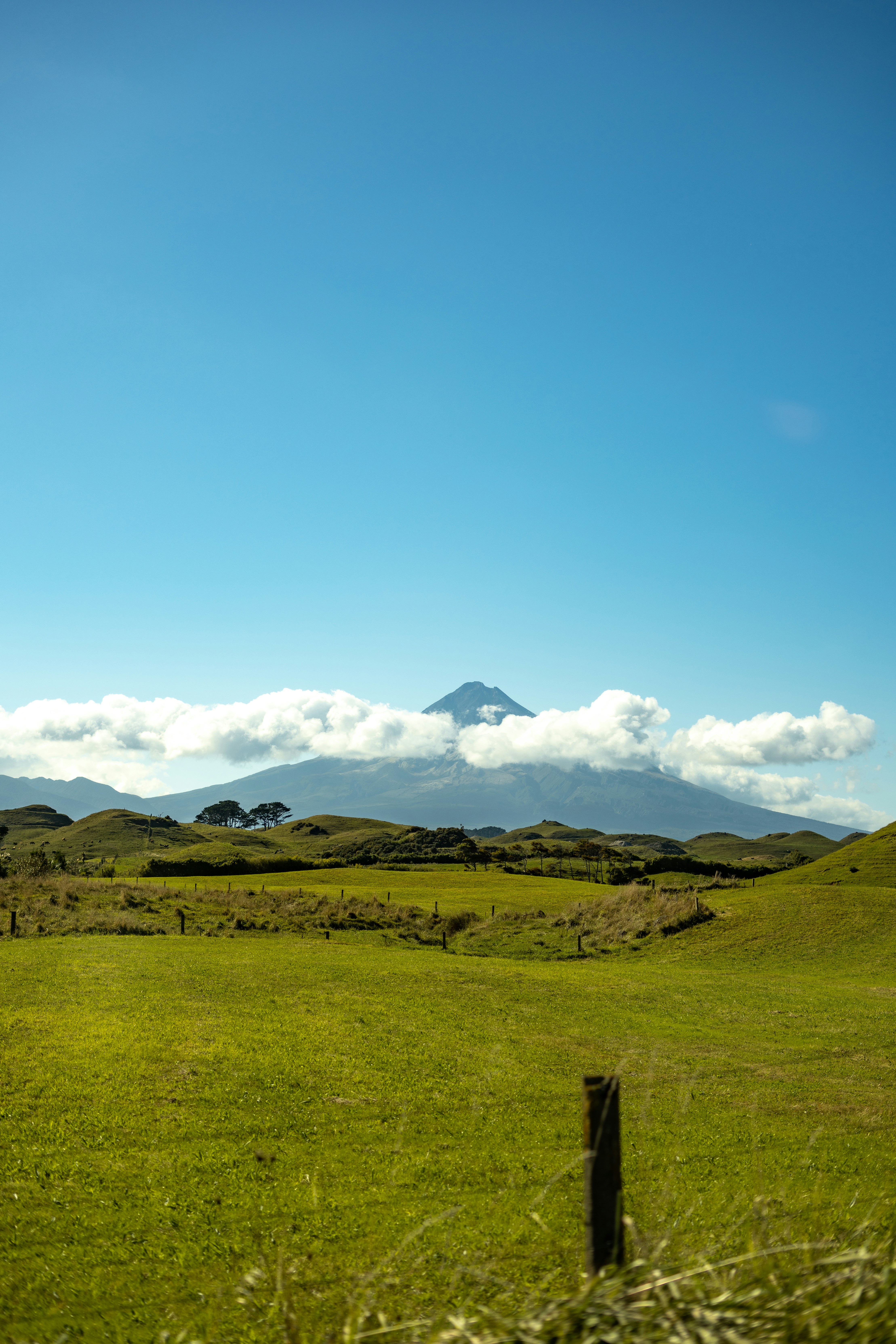 Mt. Horizon: A Snow-Capped Peak Above Rolling Pastures