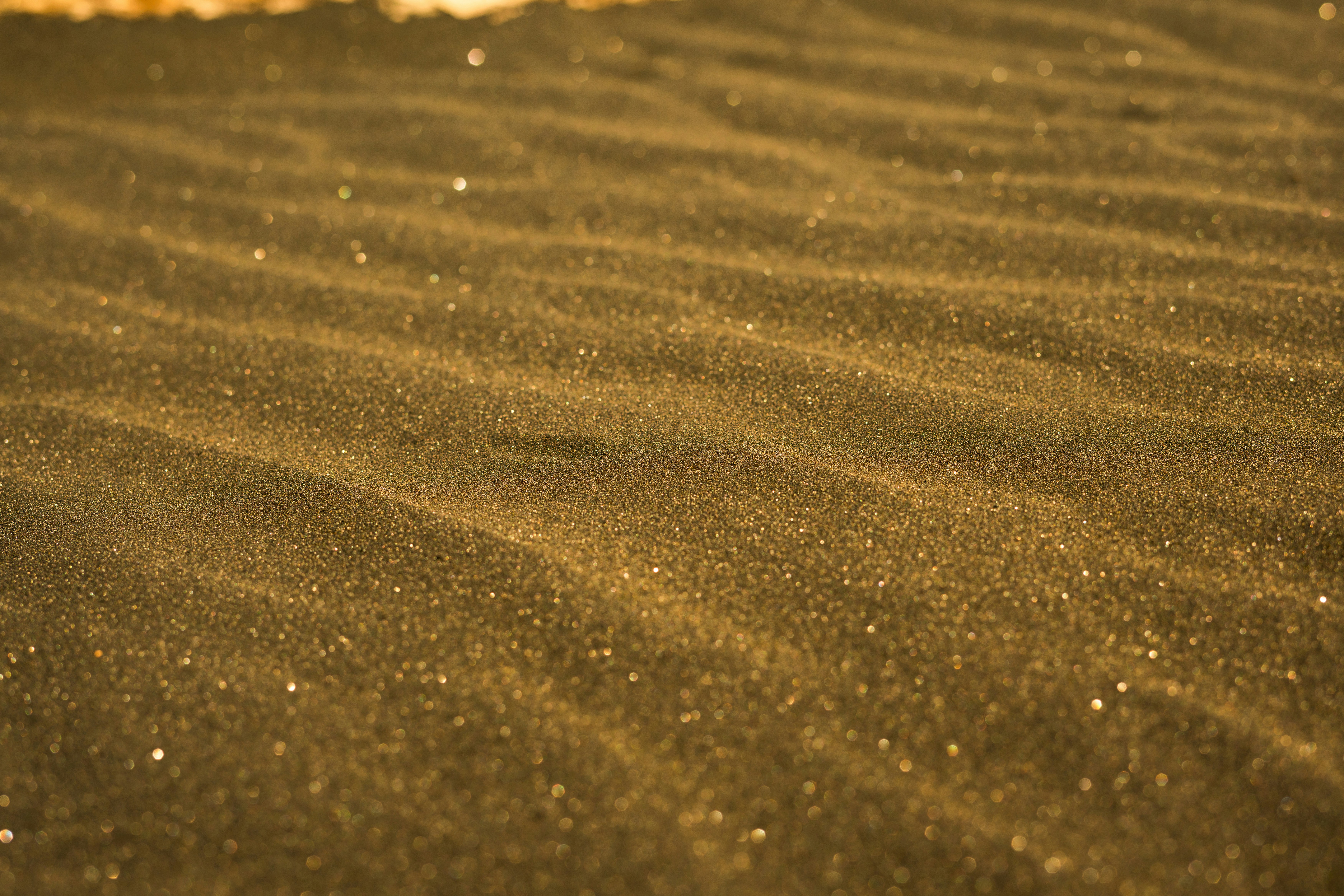 Granular Dunes: Quiet Ripples of Sand Under Warm Light