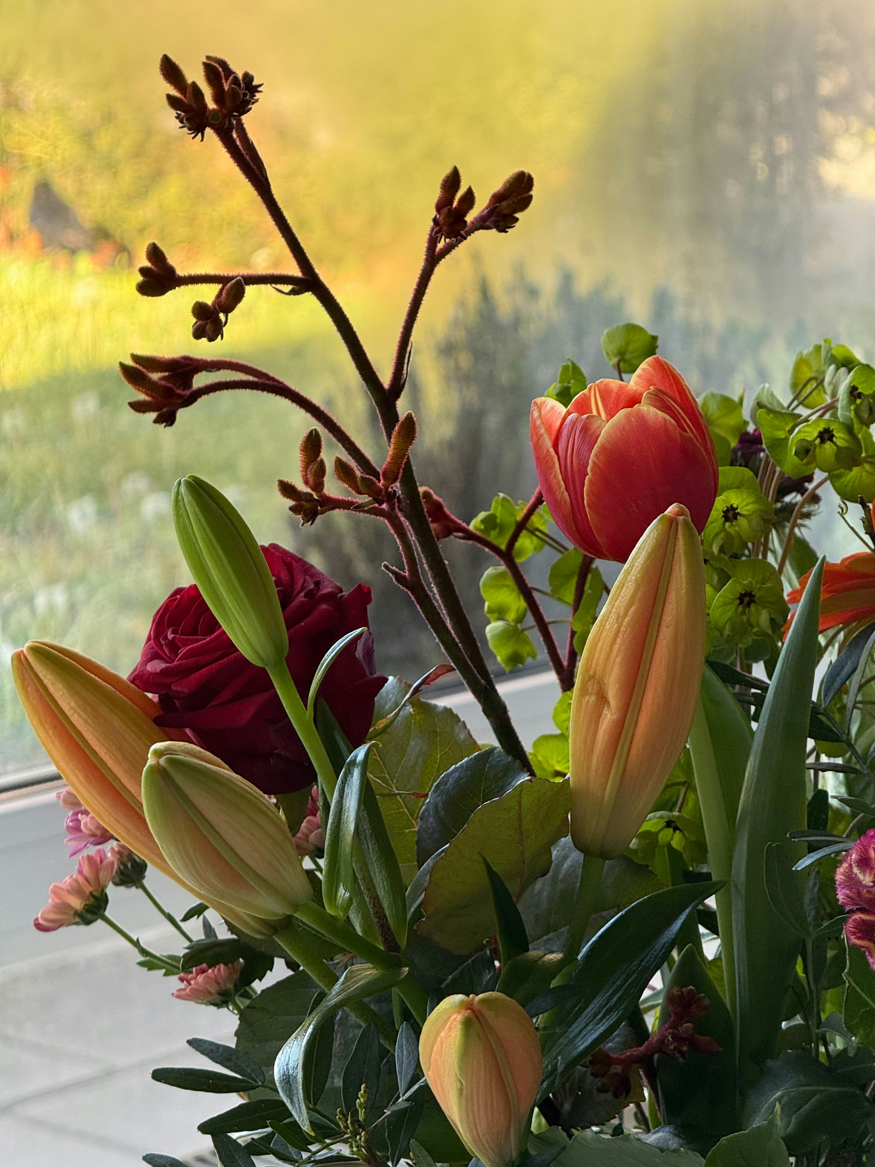 Flowers in orange, yellow, and red hues, among them a tulip, lilies, a rose, kangaroo paw, and Martin’s spurge