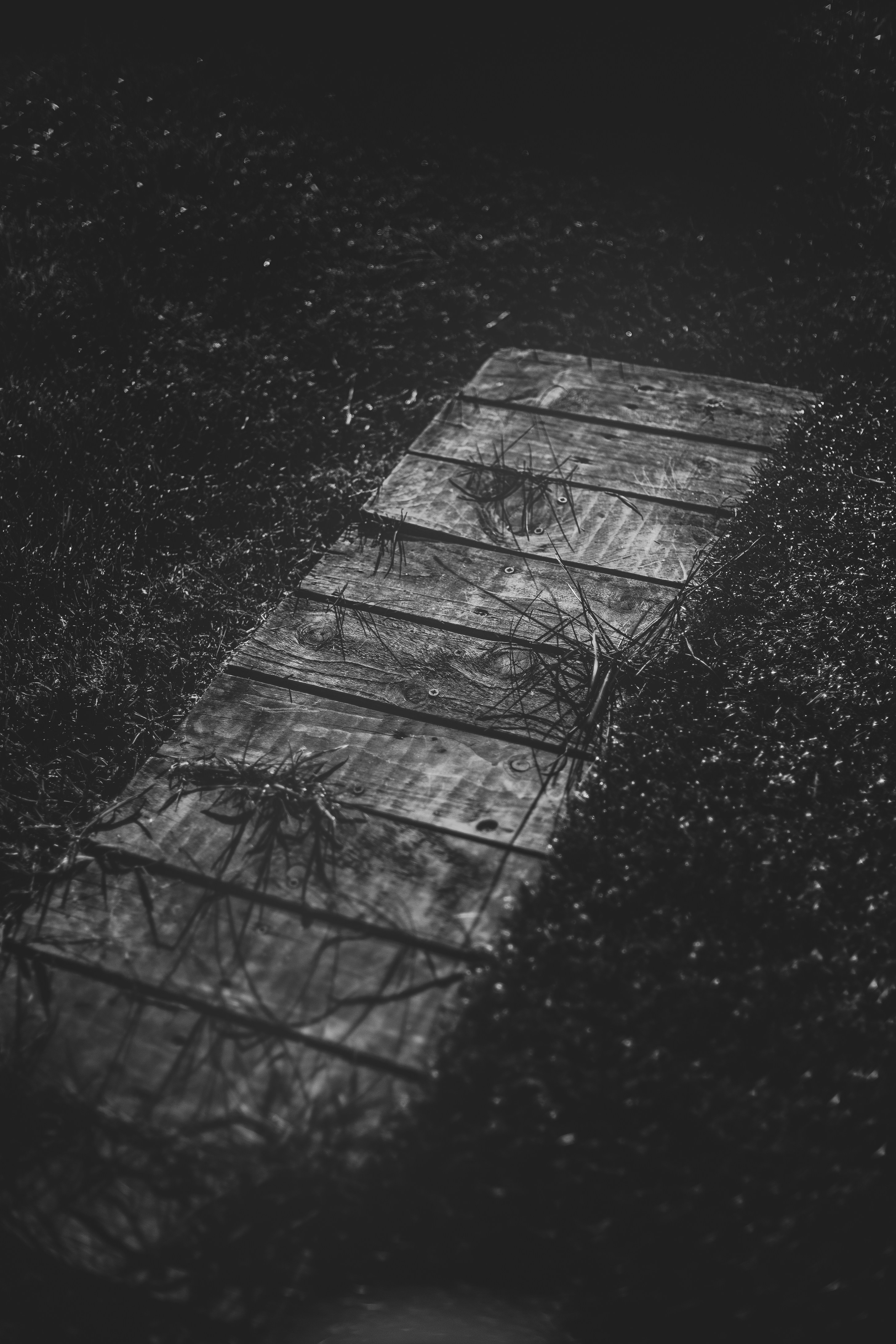 Deserted Plank Path Through Dusk-Grass