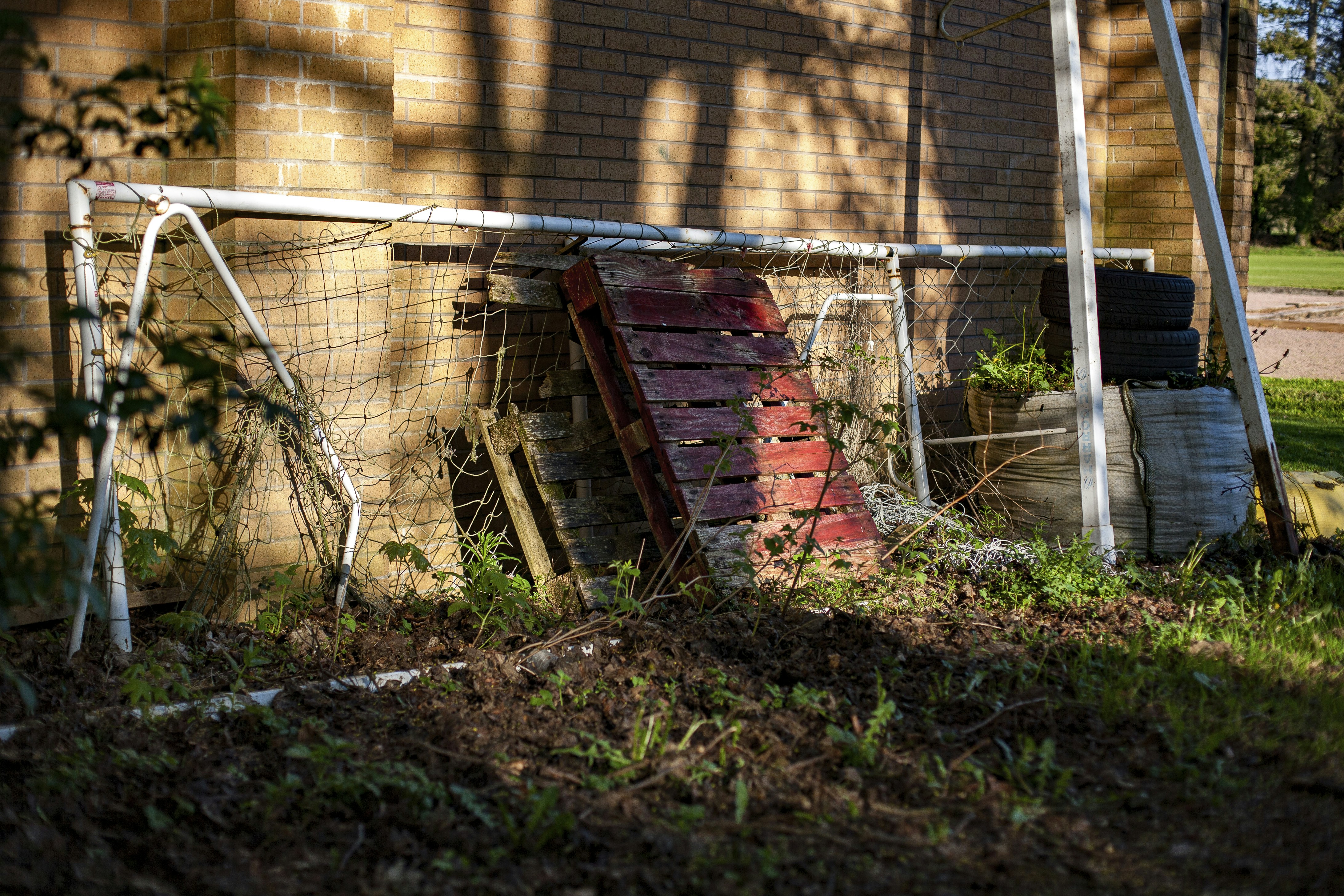 Rusted Hockey Goal Reclaimed by Wild Garden