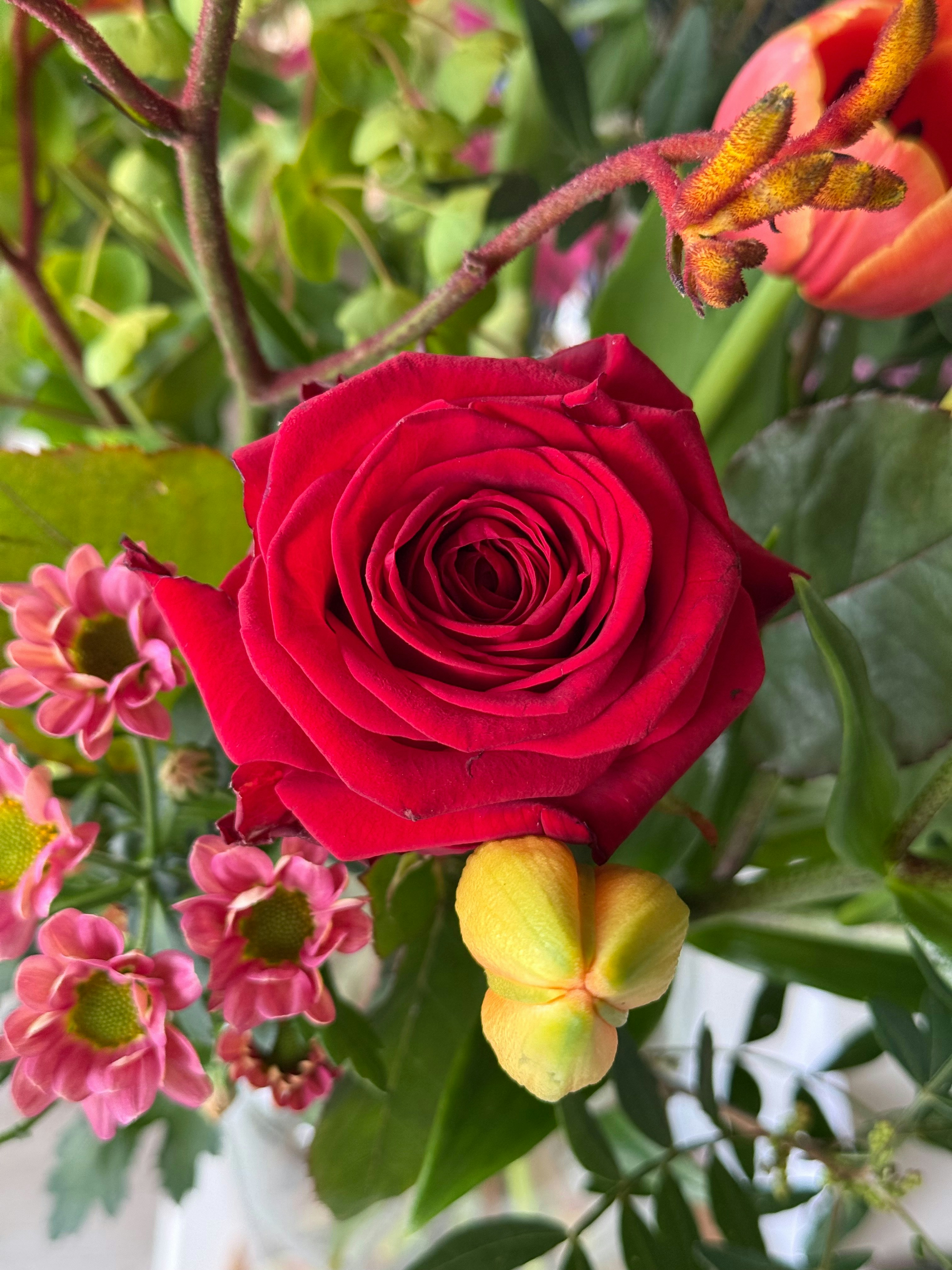 Crimson Bloom: A Central Rose Surrounded by Seasonal Corner Florals