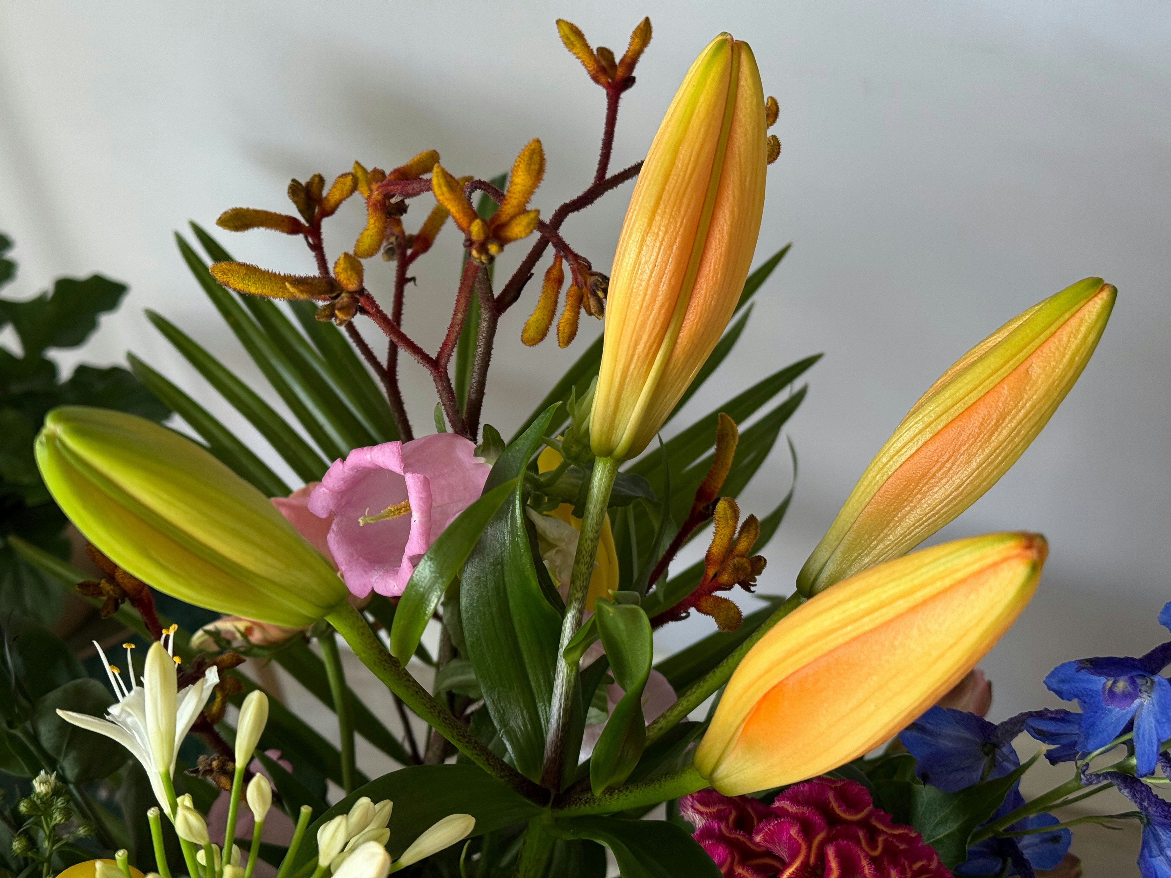Sunlit Lily Crown with Pink Orchid Amidst Varied Foliage