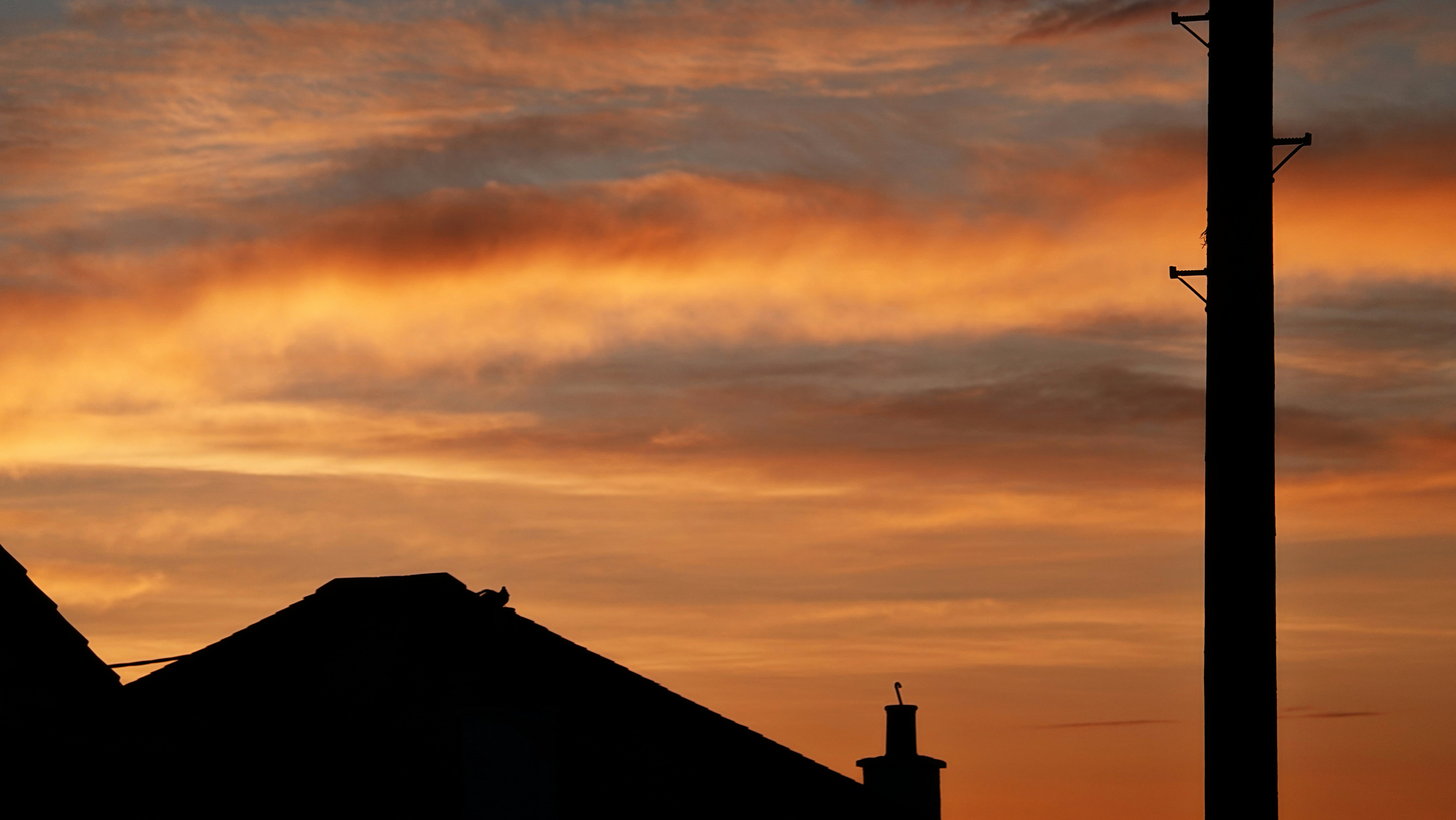 Sunset Silhouette Over Quiet Rooflines