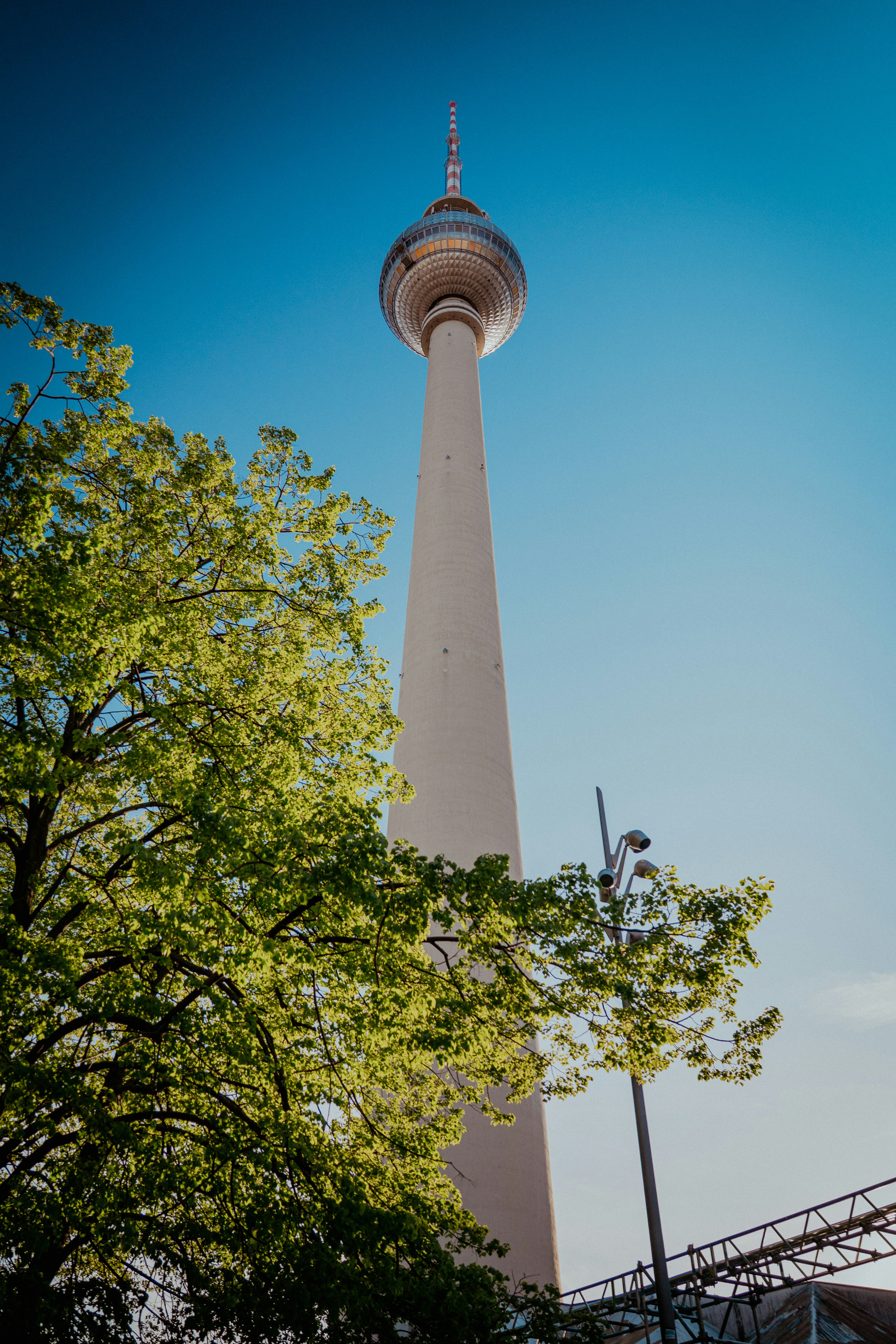 Towering Neon Spire: Berlin's TV Tower Rising Above the Green Canopy