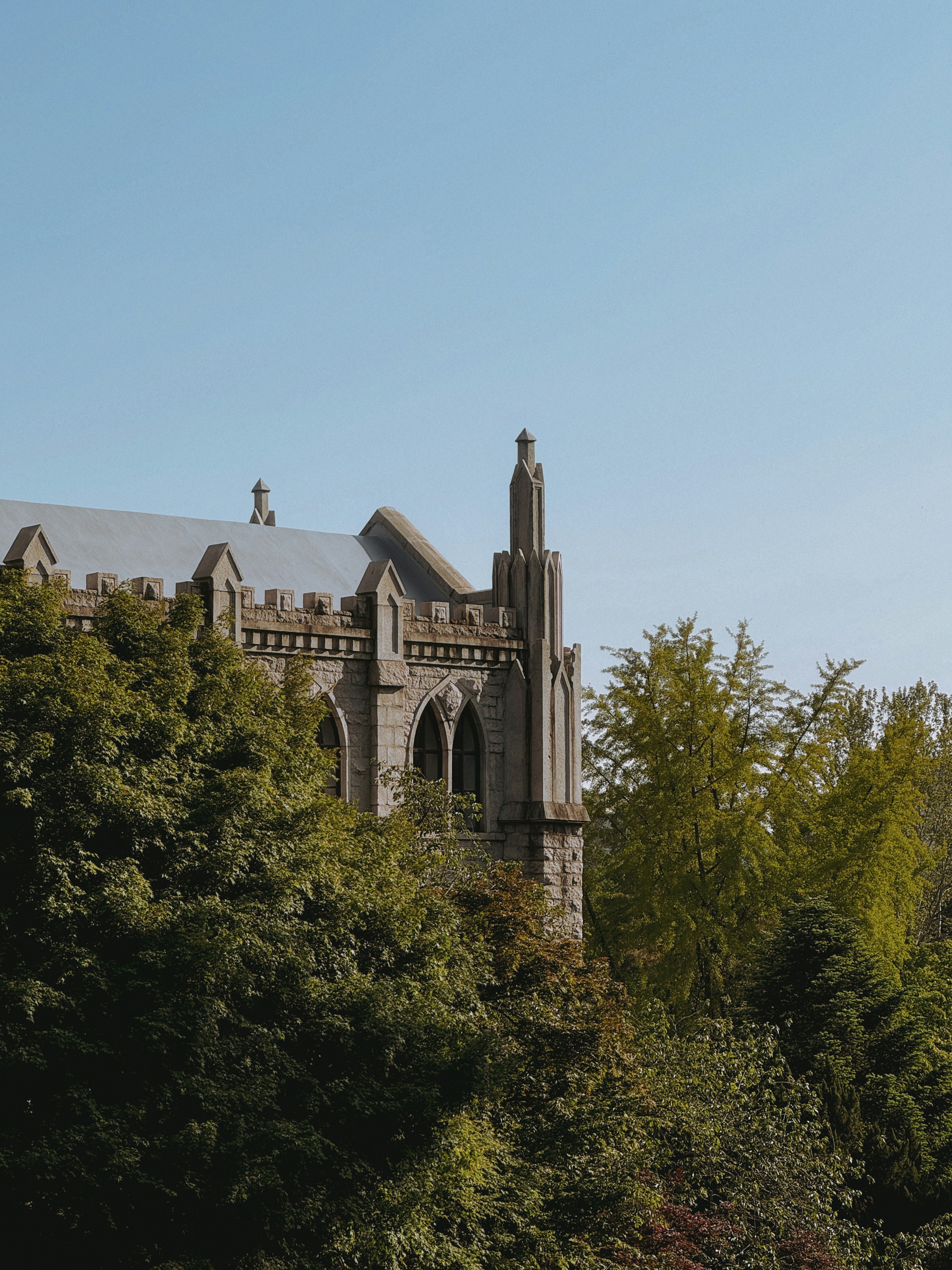 Gothic Cloister Piercing the Canopy: Stone Monuments Above a Verdant Verge