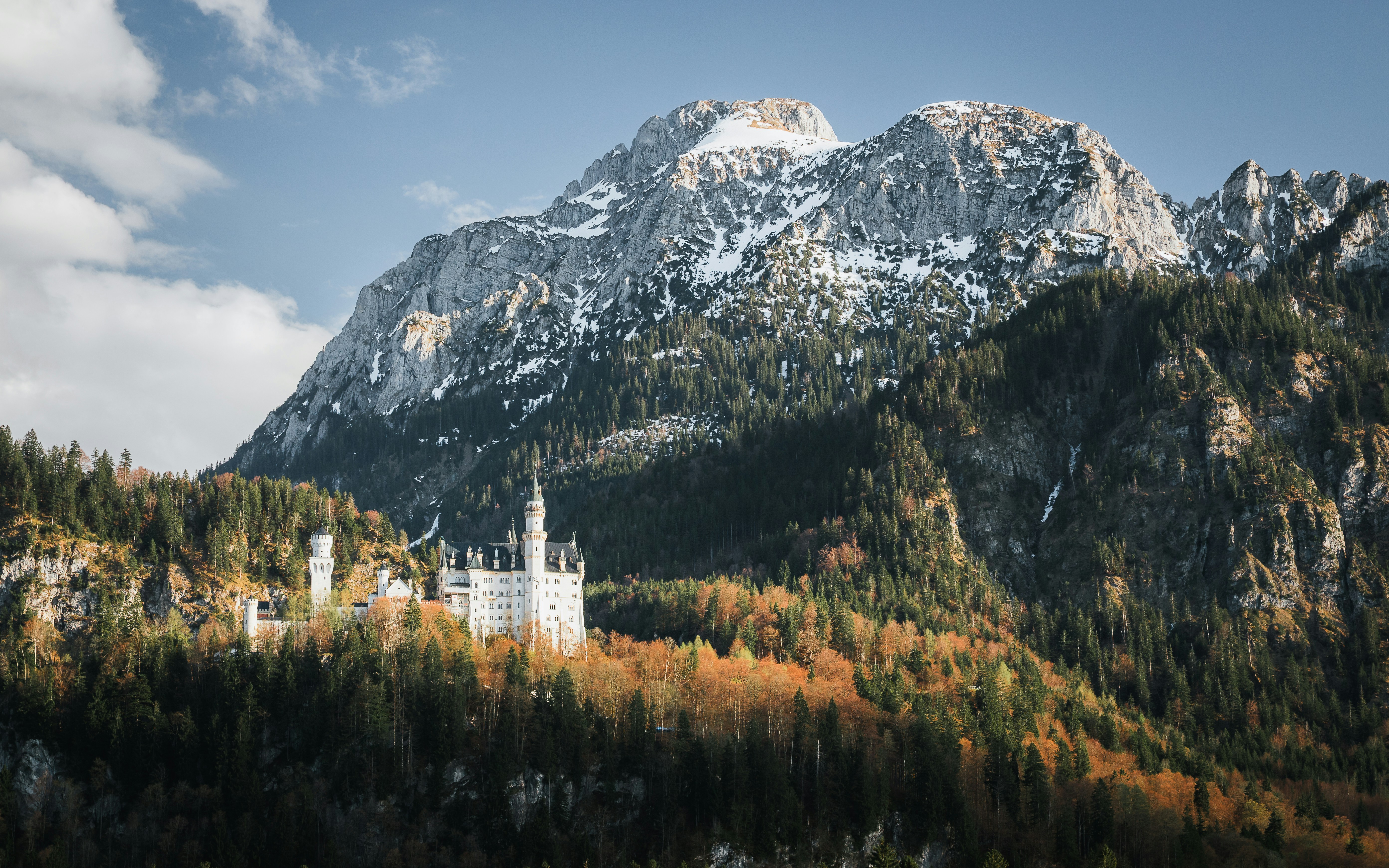 Castle Among Pines: A Snow-Kissed Mountain Vista