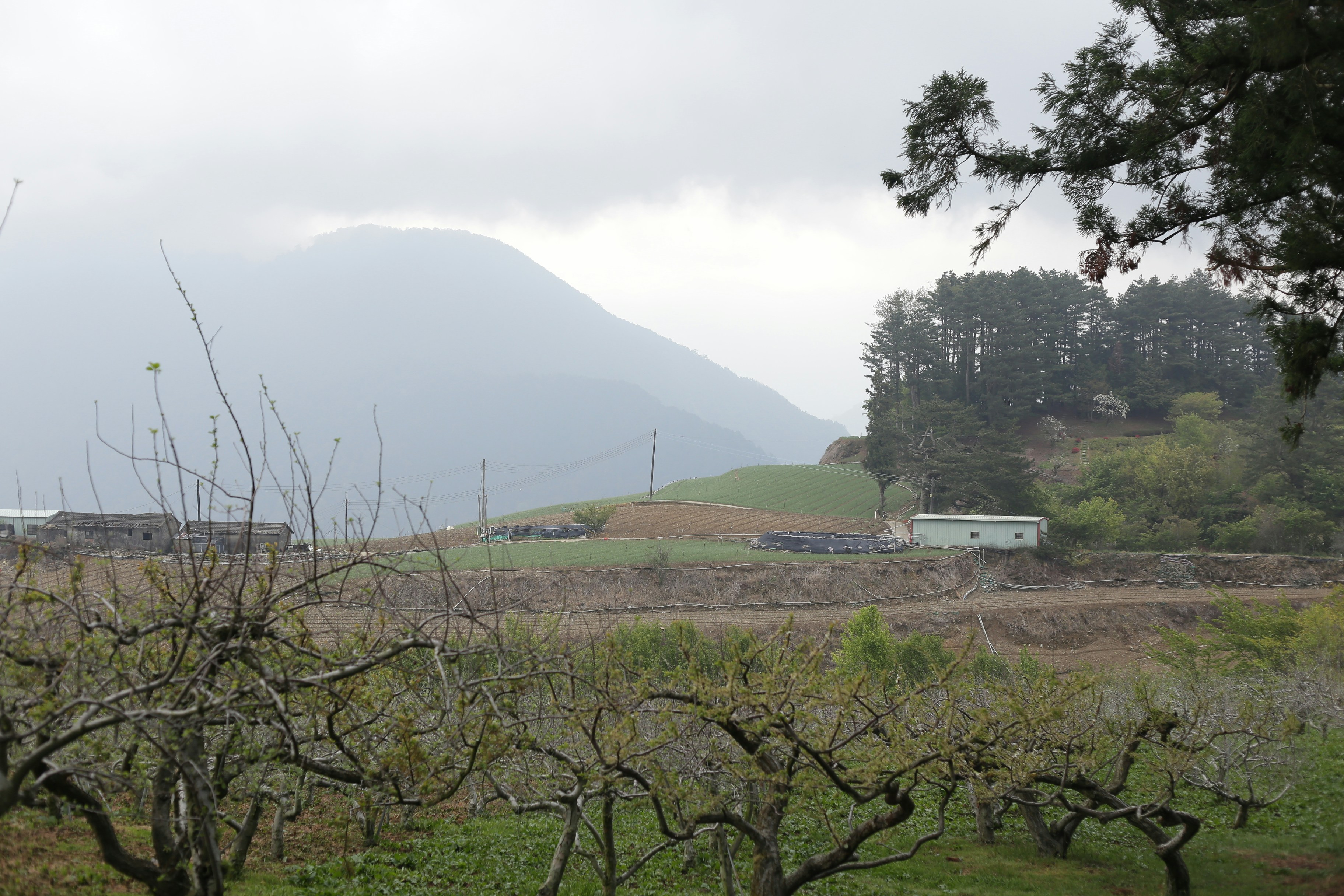 Hilltop Farmstead Under Misty Veil