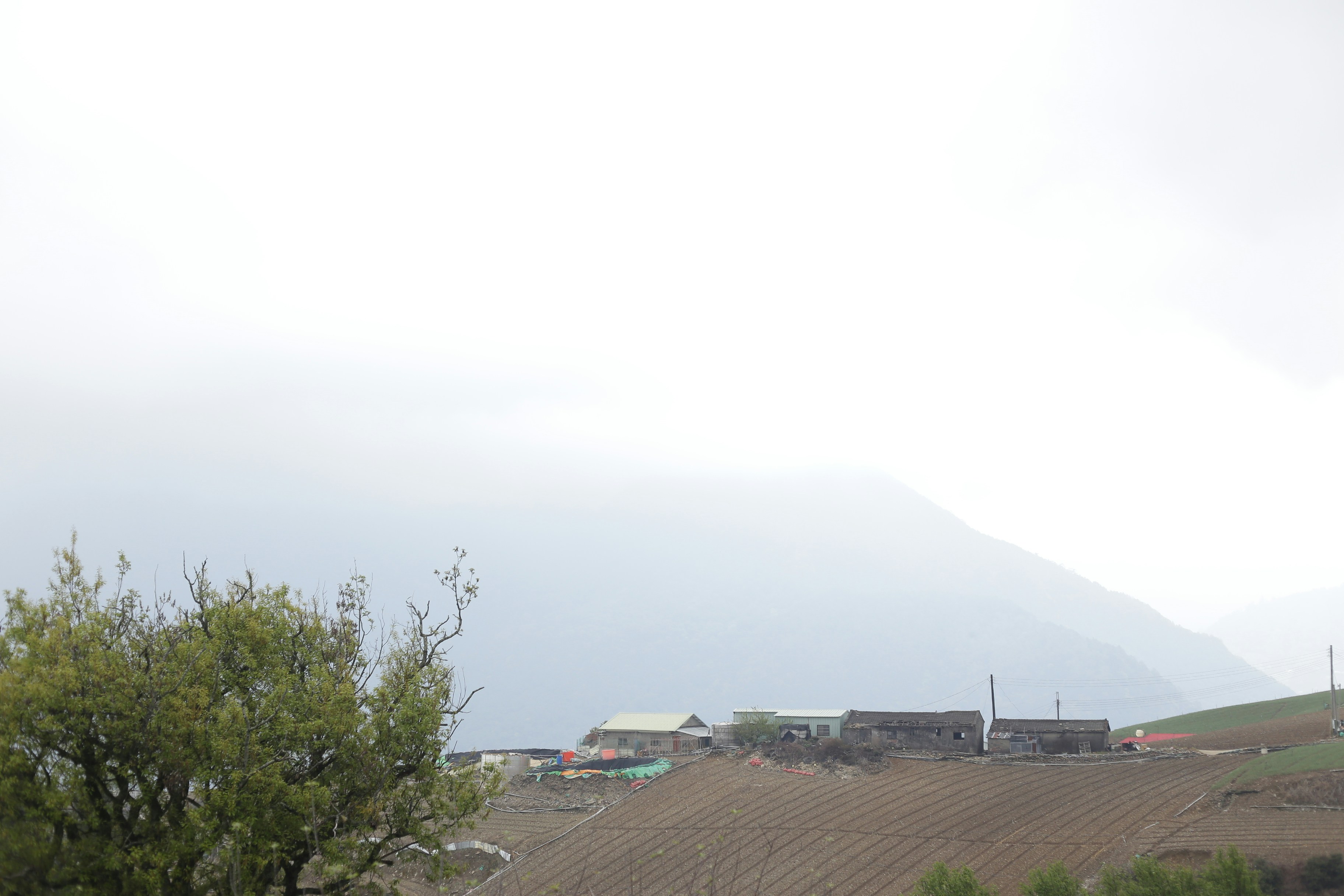 Low-lying village at the edge of a misty valley