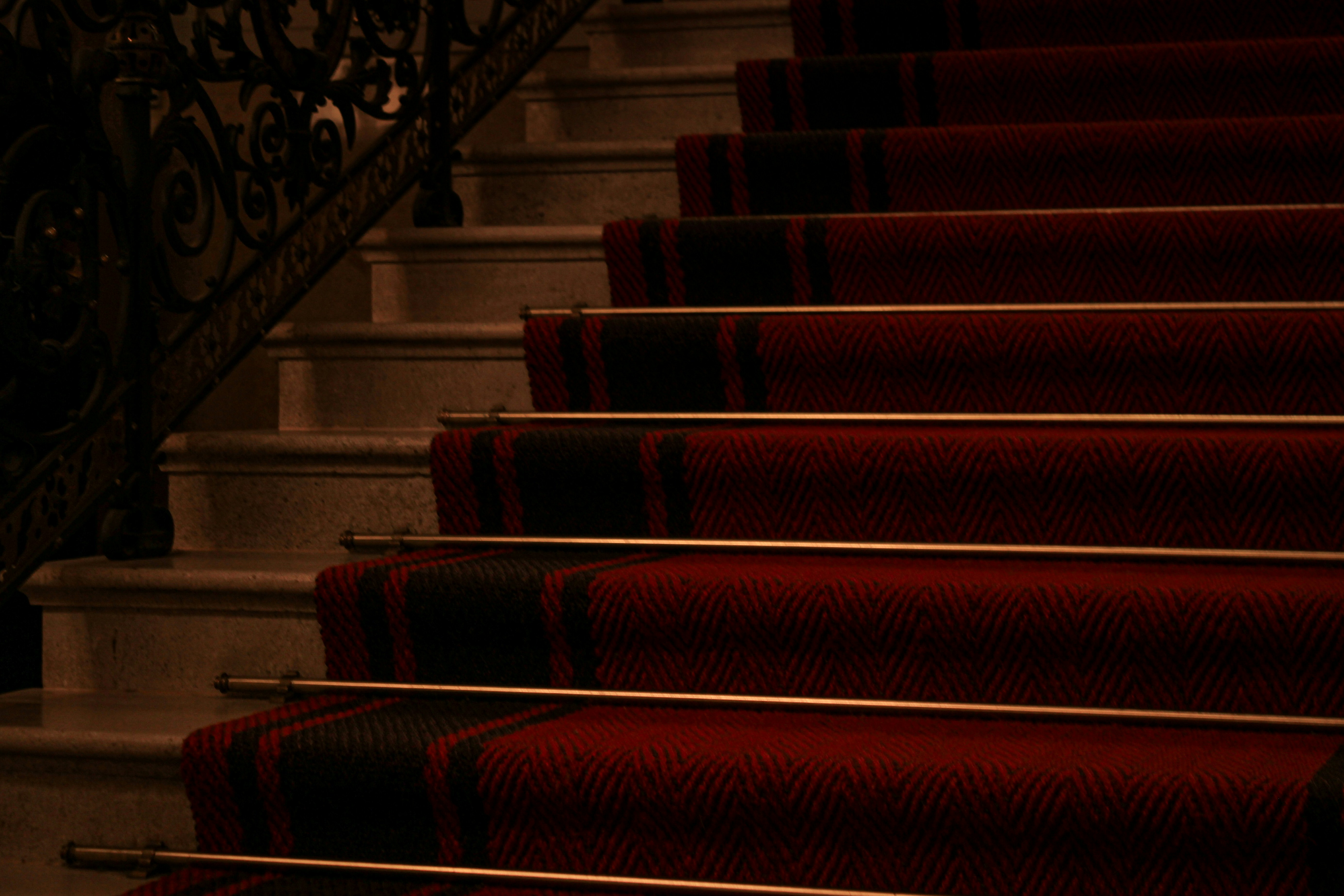 Shadowed Staircase: Velvet Ropes and Dim Lights