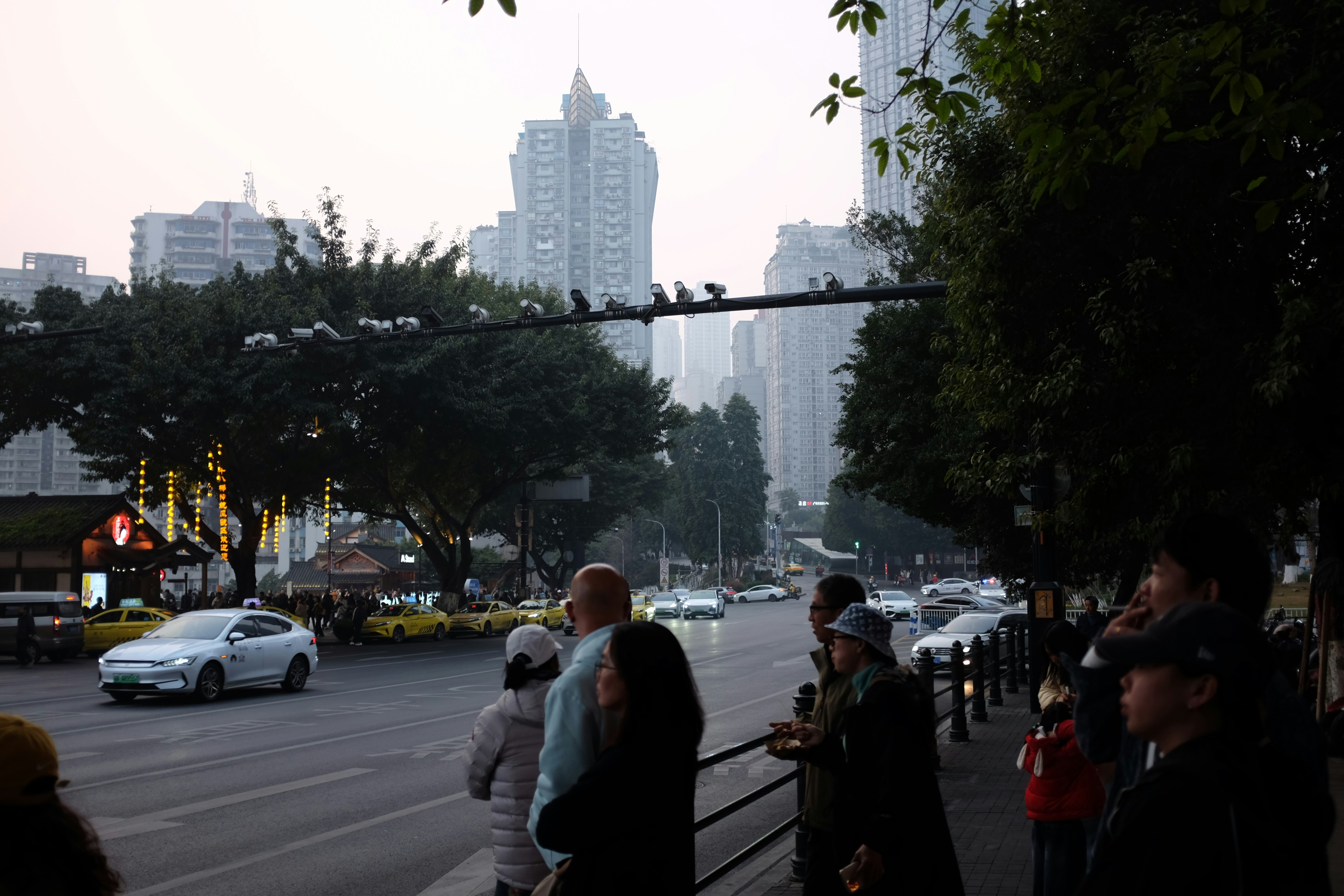 City Street at Dusk: Pedestrians Meet Moving Traffic under Tree Canopy