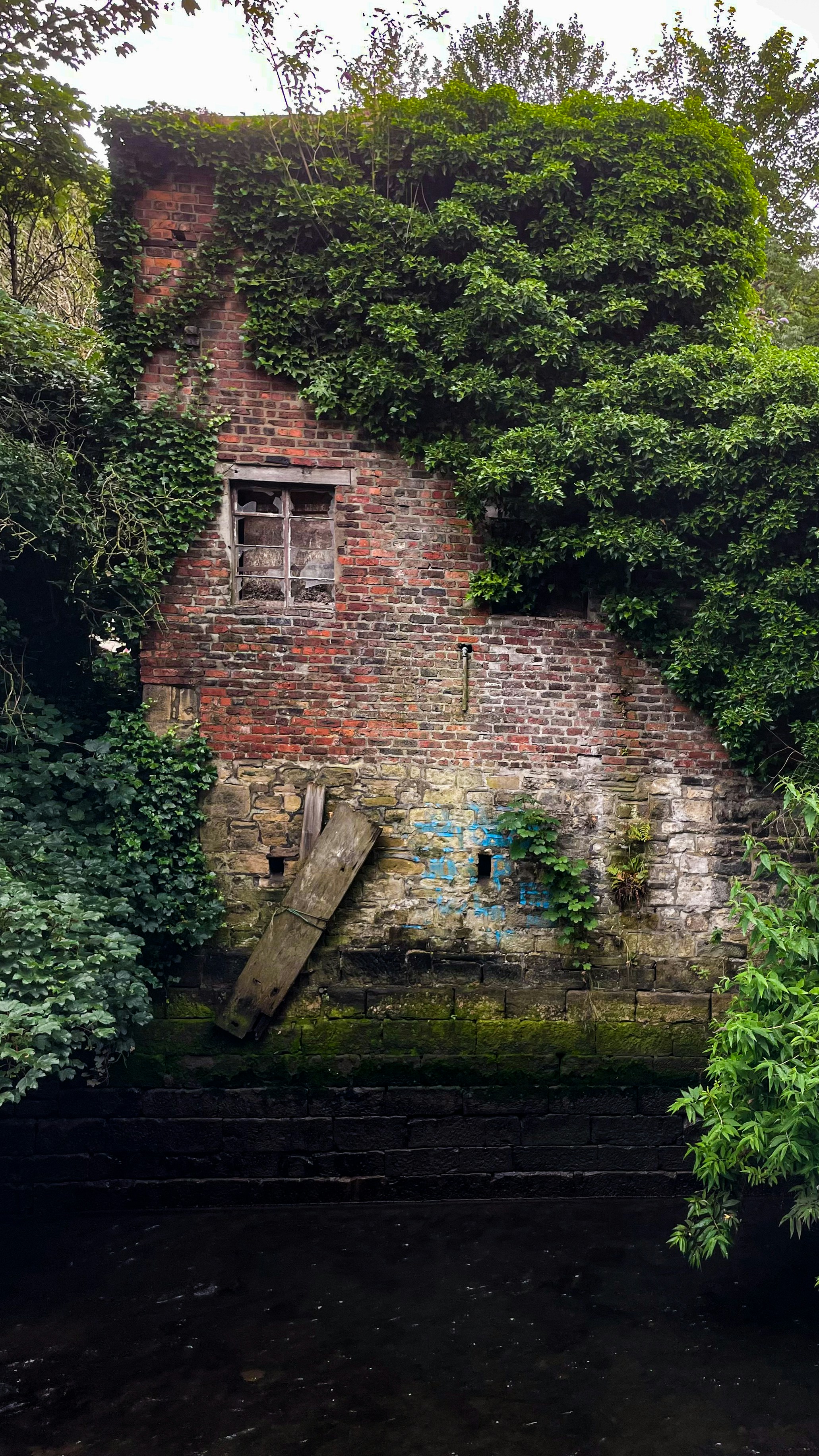 Overgrown brick building with broken window and water