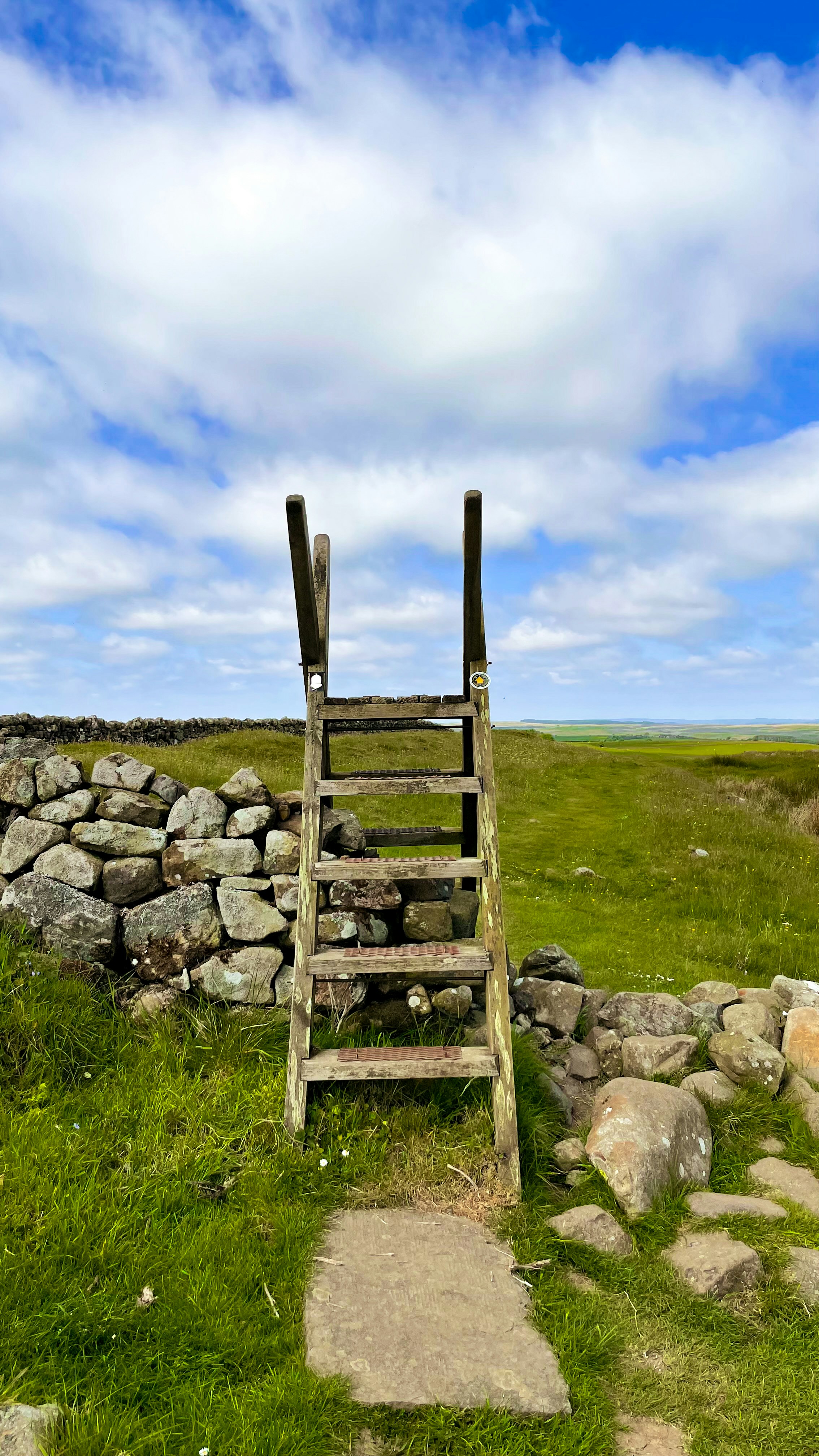 Ladder to the Horizon: A Quiet Climb Over the Stone Wall
