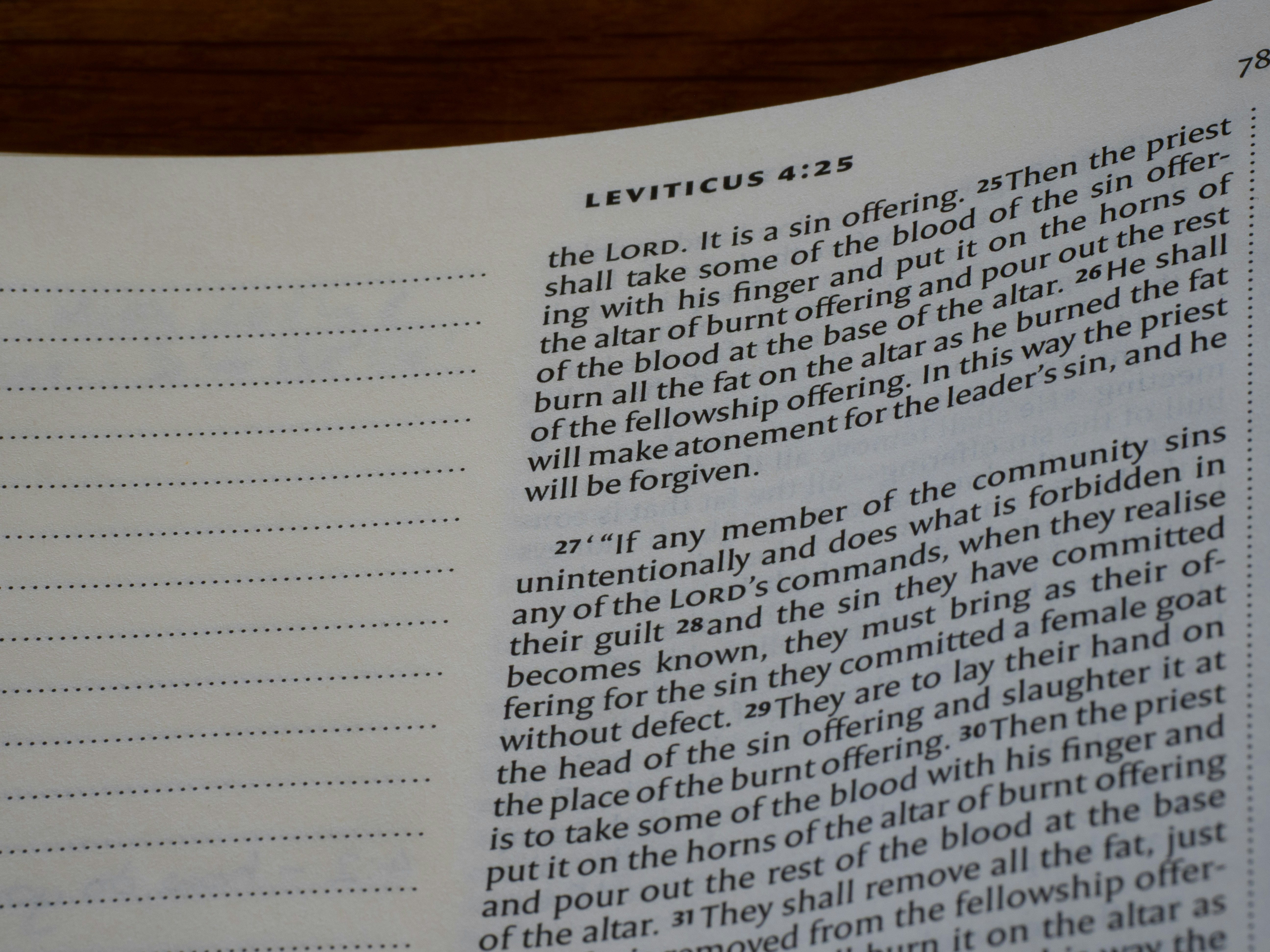 Distant Verse: A Page Turned Under Soft Window Light