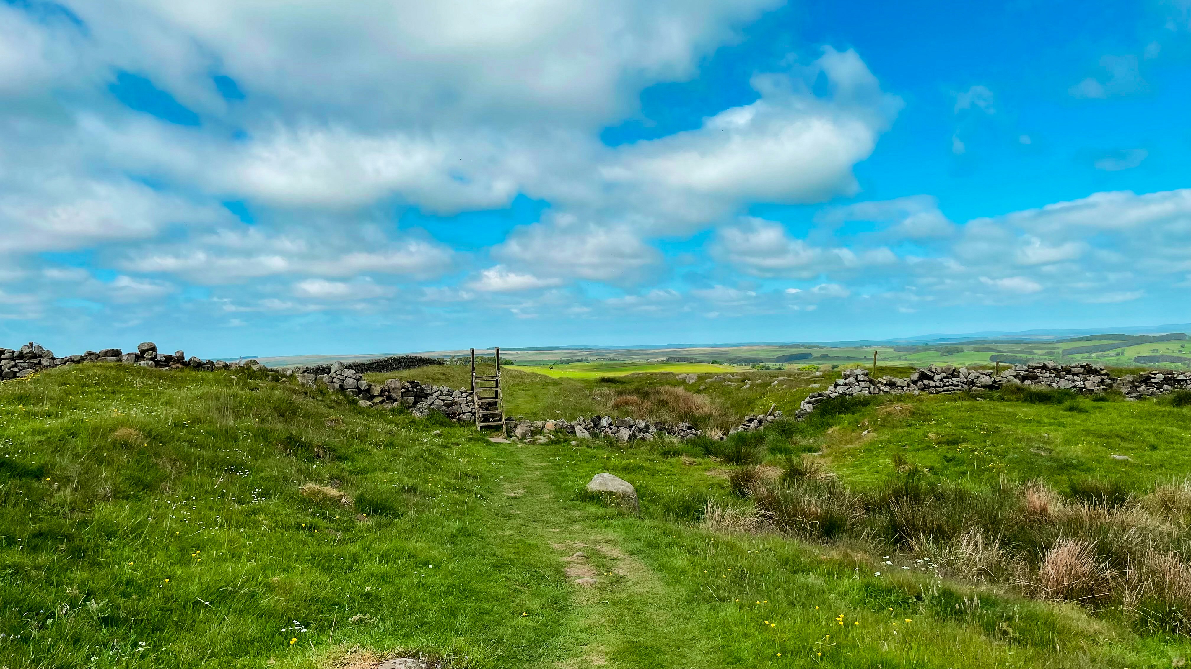 Dirt Path Through Rolling Moorland Under Expansive Sky