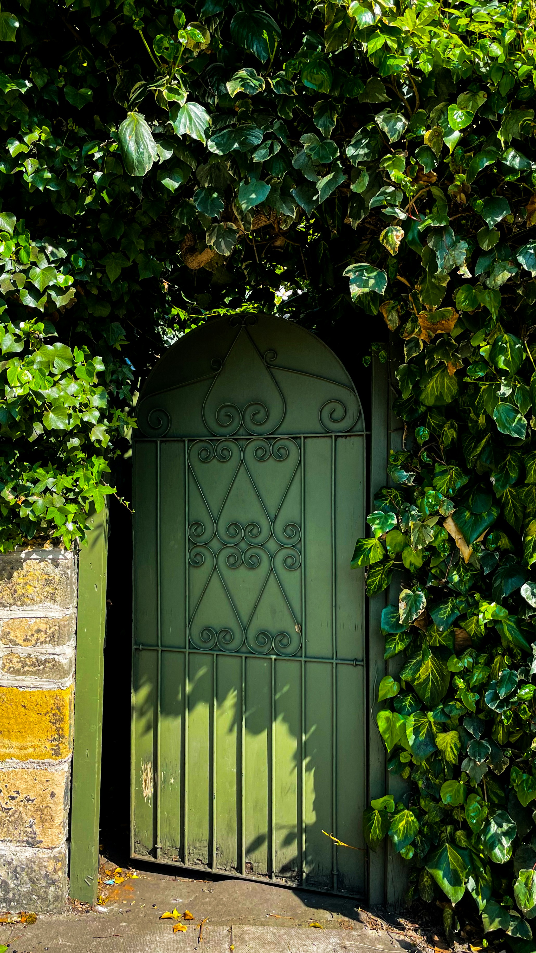 Green Gate Veil: A Curtain of Ivy Over a Cast Iron Portal