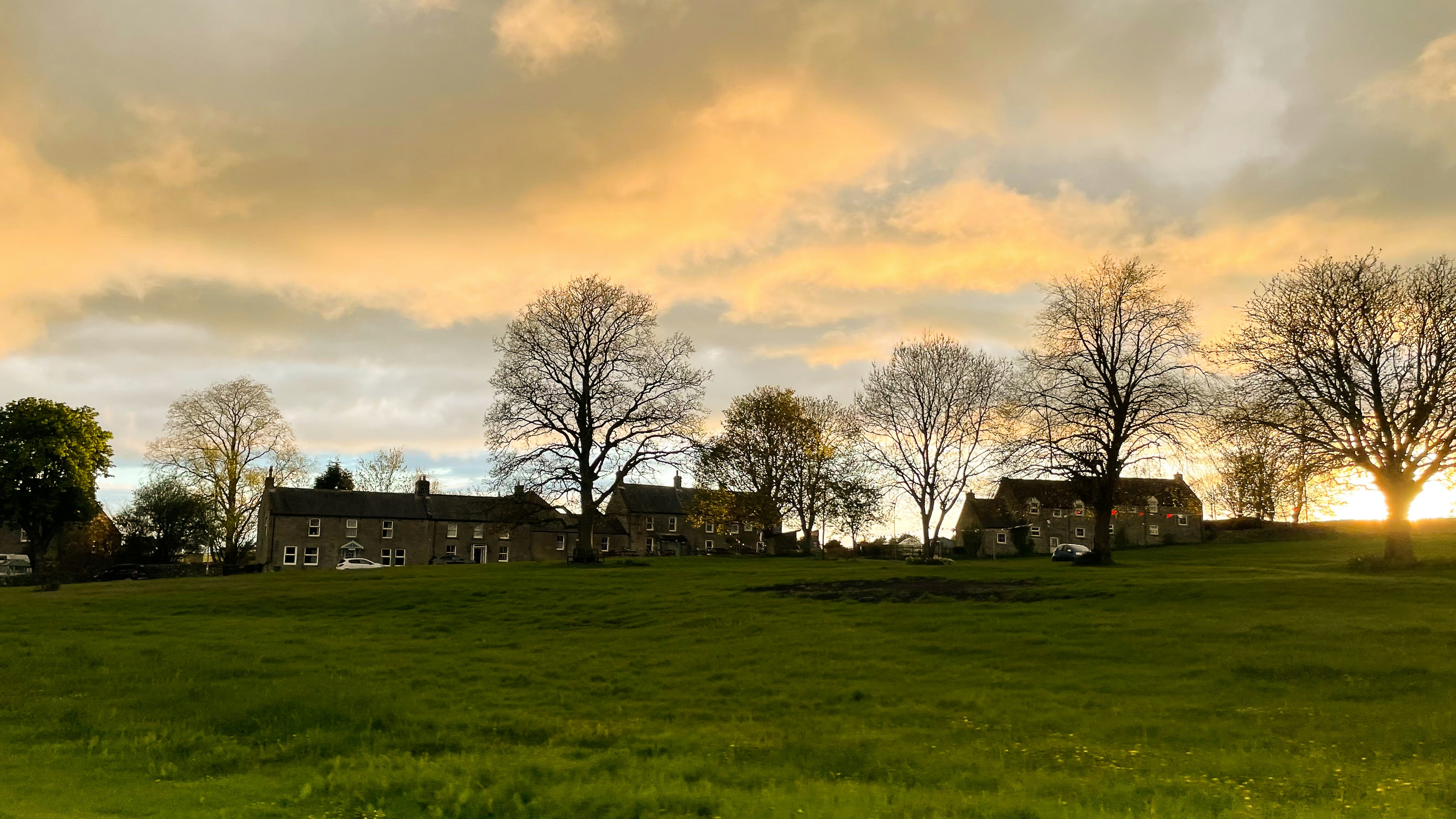 Twilight Row: Distant Houses Amid Open Field
