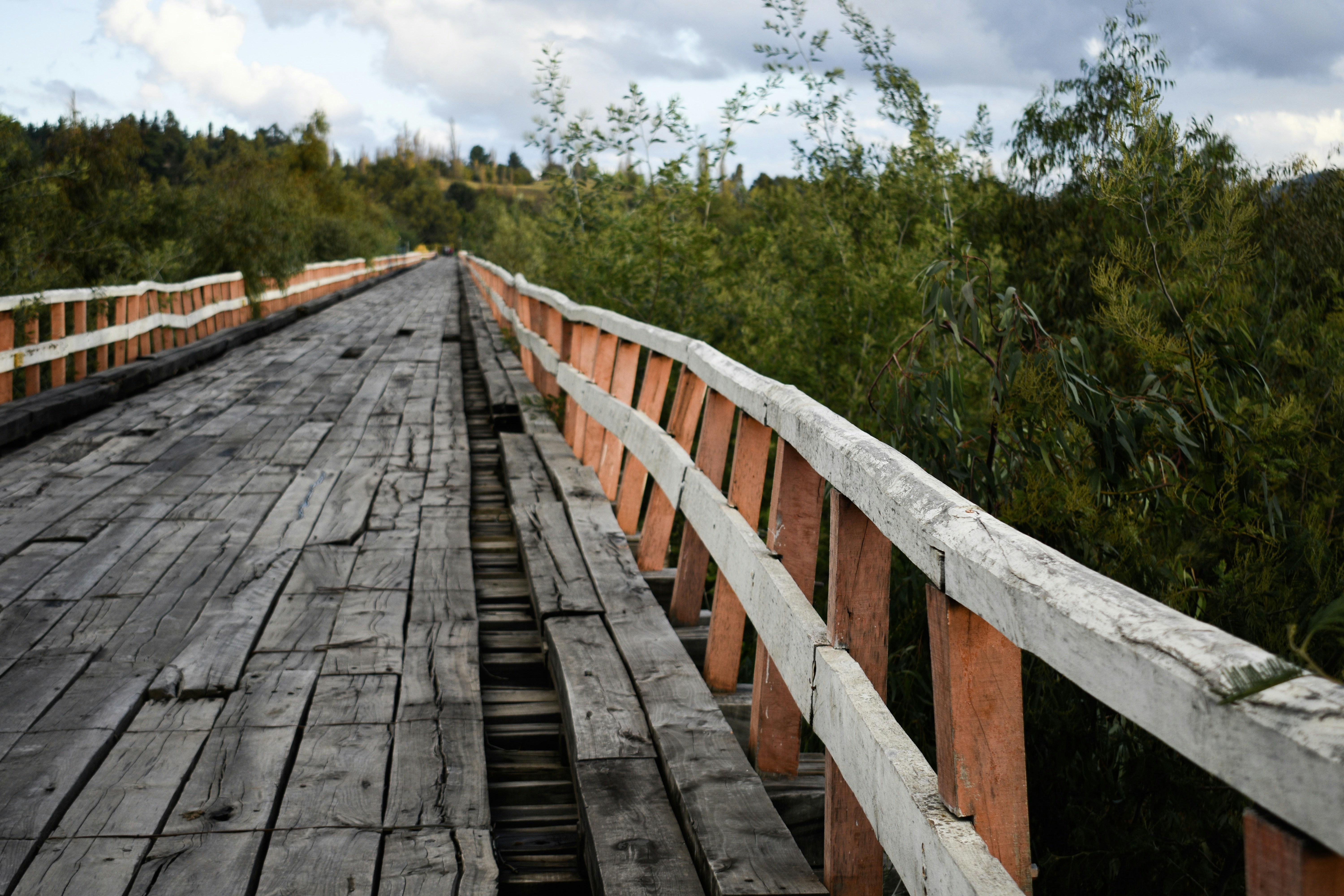 Weathered wooden bridge extends toward a green canopy, with peeling white rail posts on either side and a cloudy sky above.