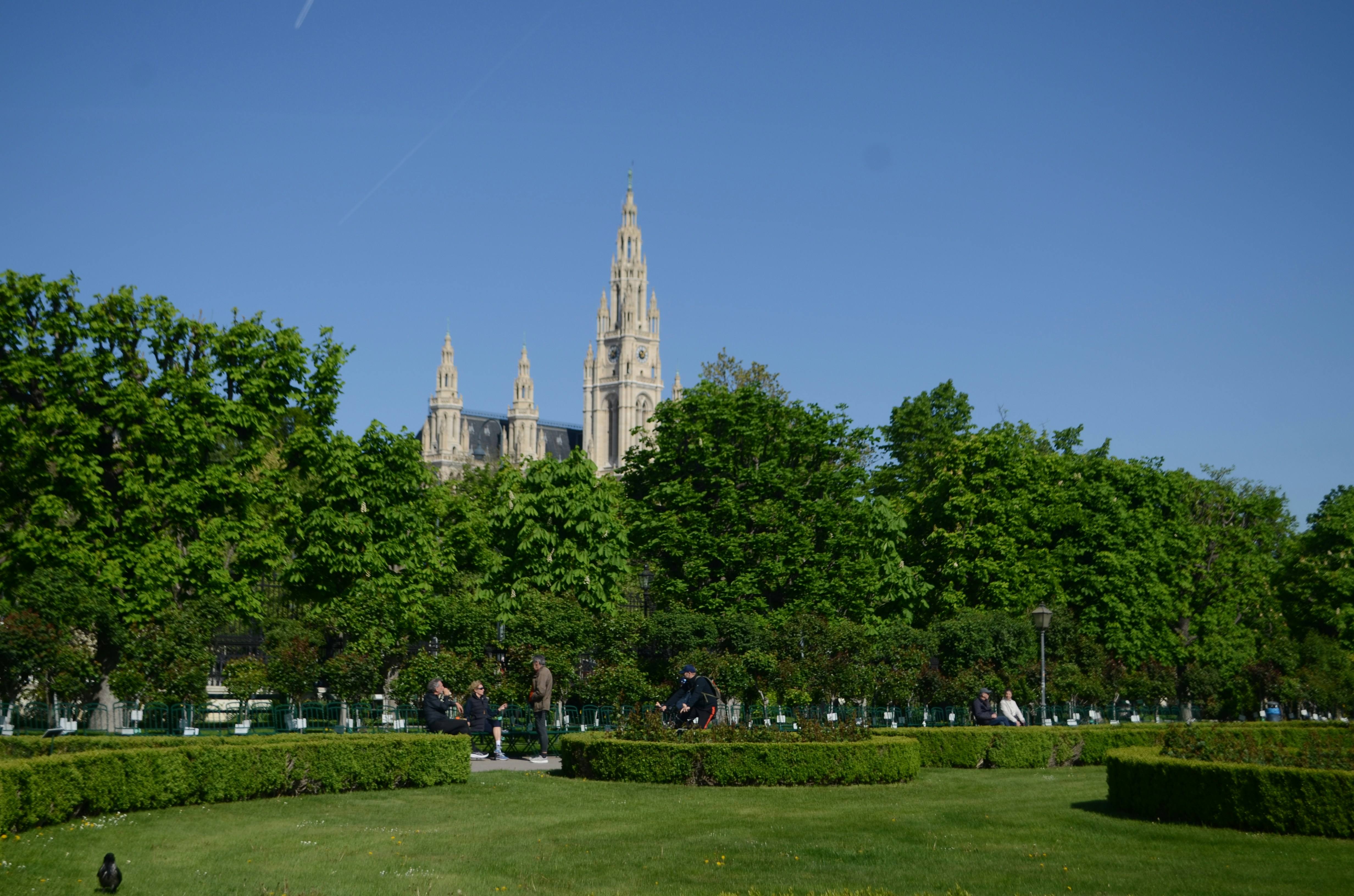 City Park Cathedral Silhouette Above Treeline on a Sunny Day