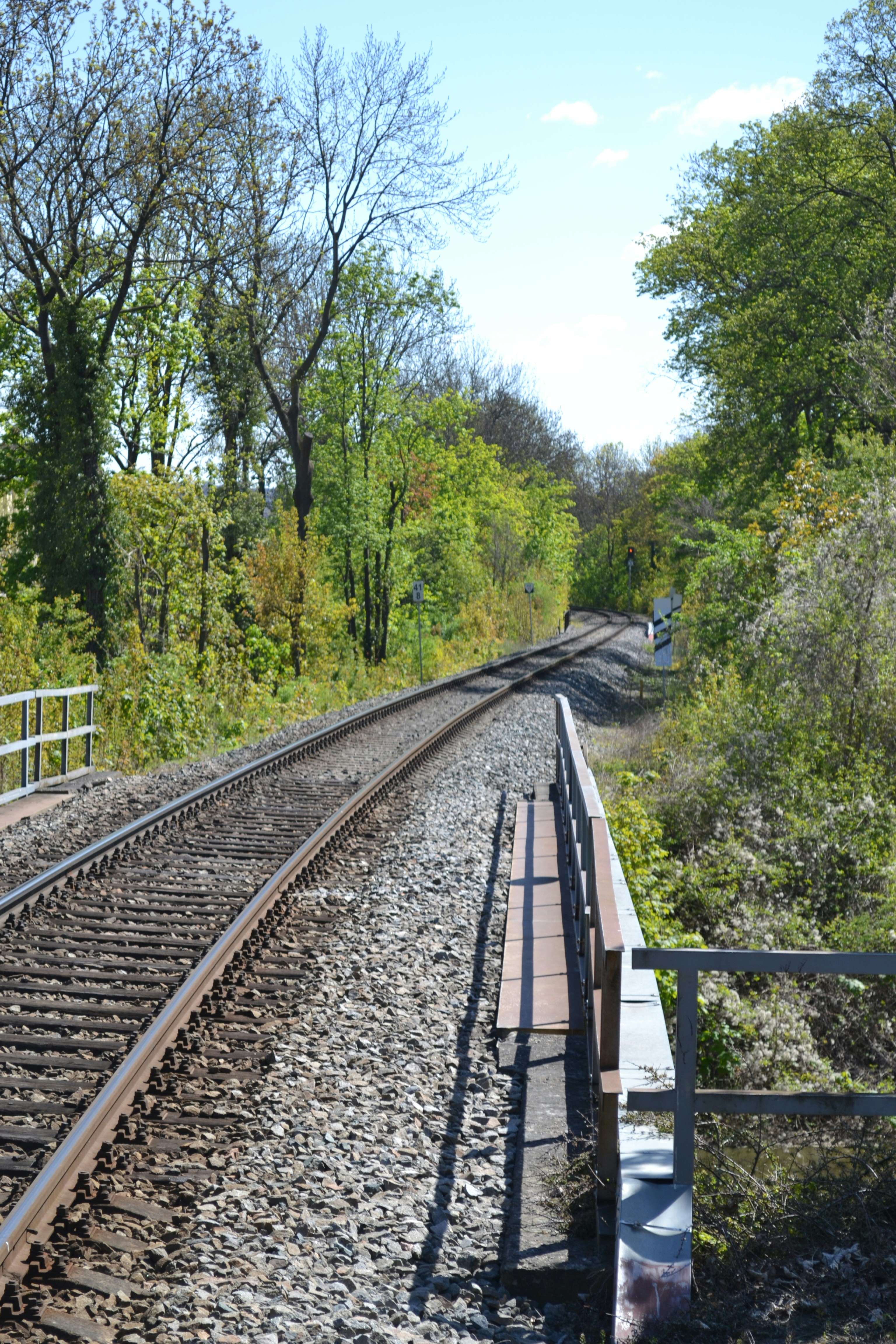 Rails Through the Green Corridor