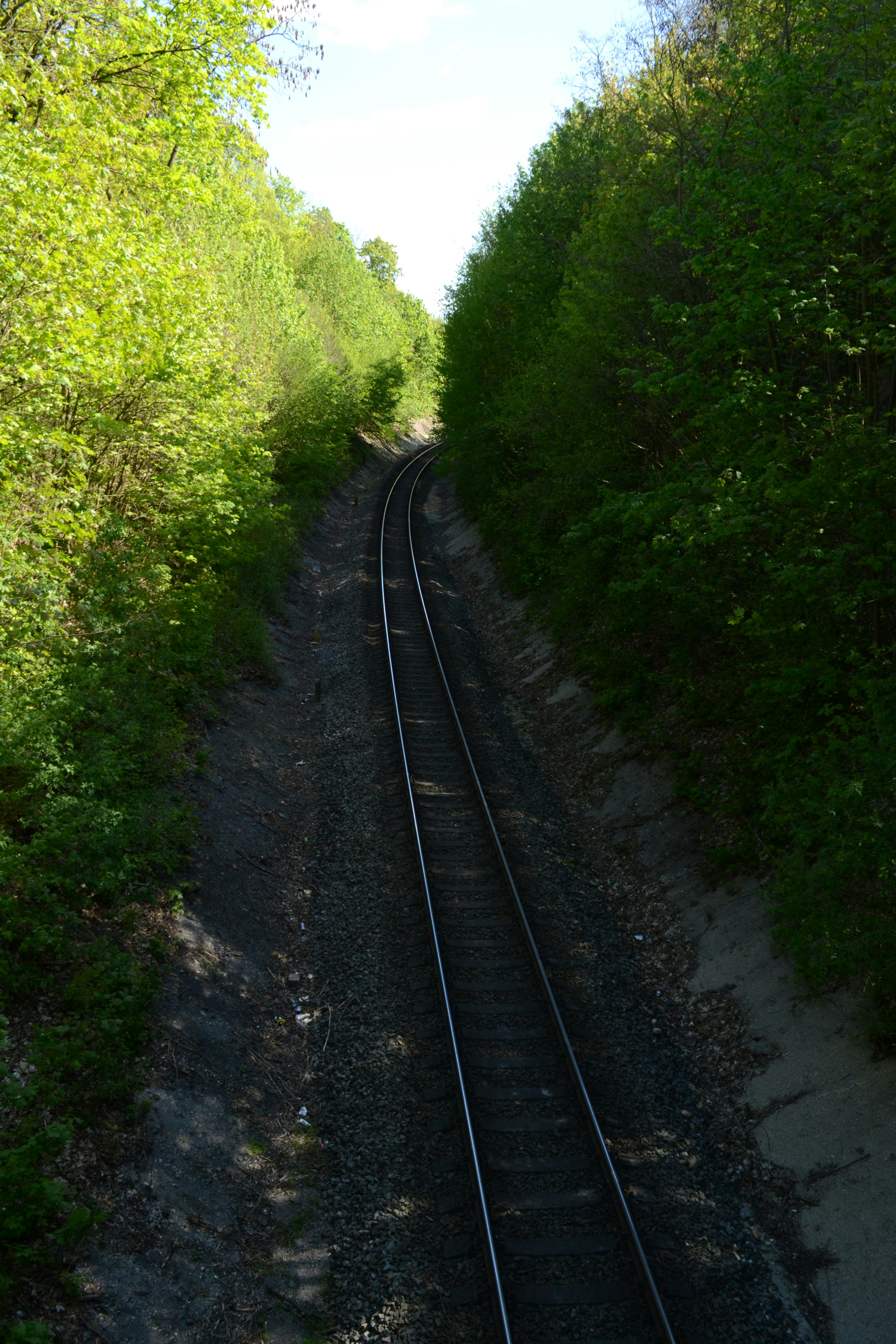 Rails Through the Green Corridor