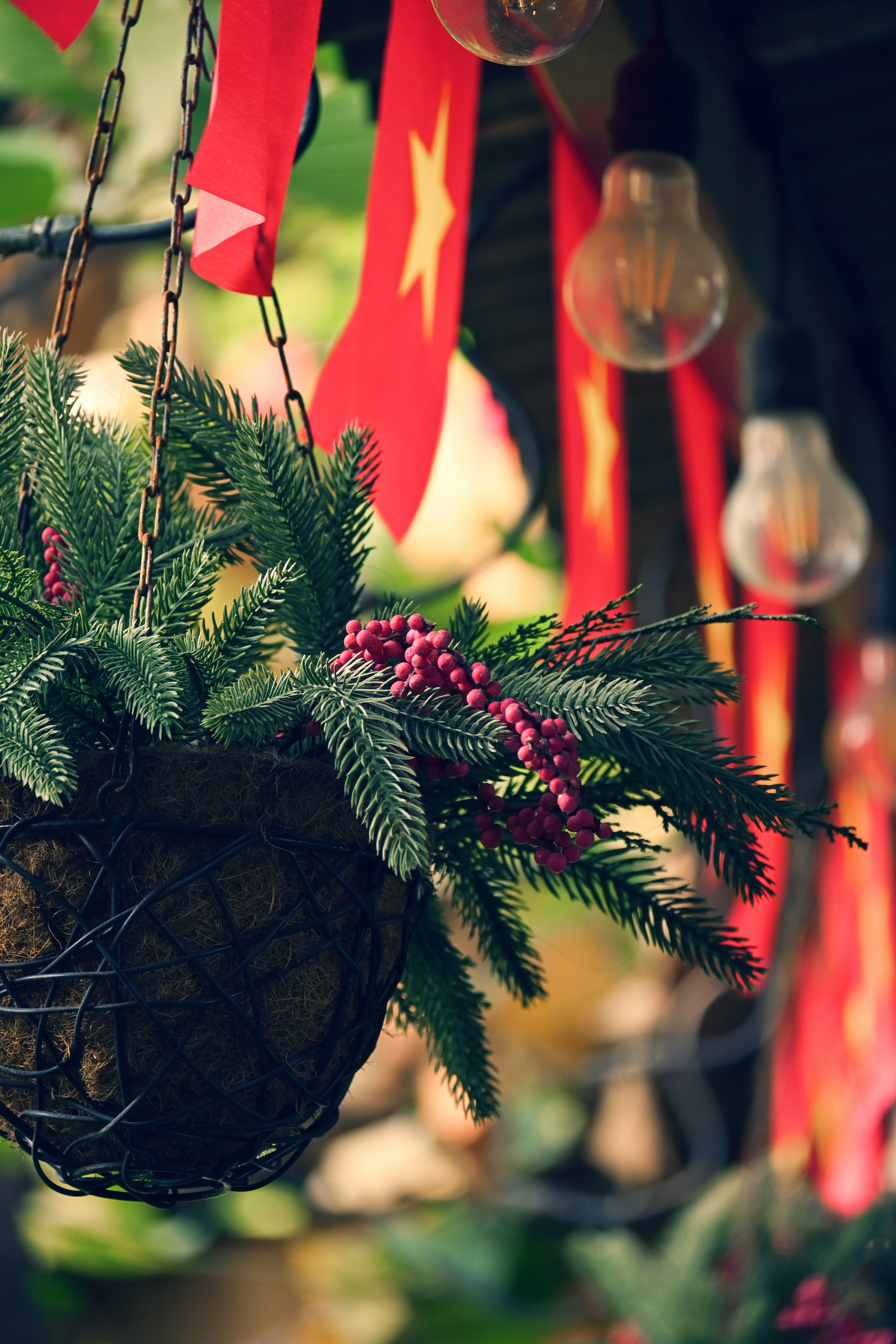 Hanging Holiday Greens: A Closer Look at Festive Wreaths and Berries