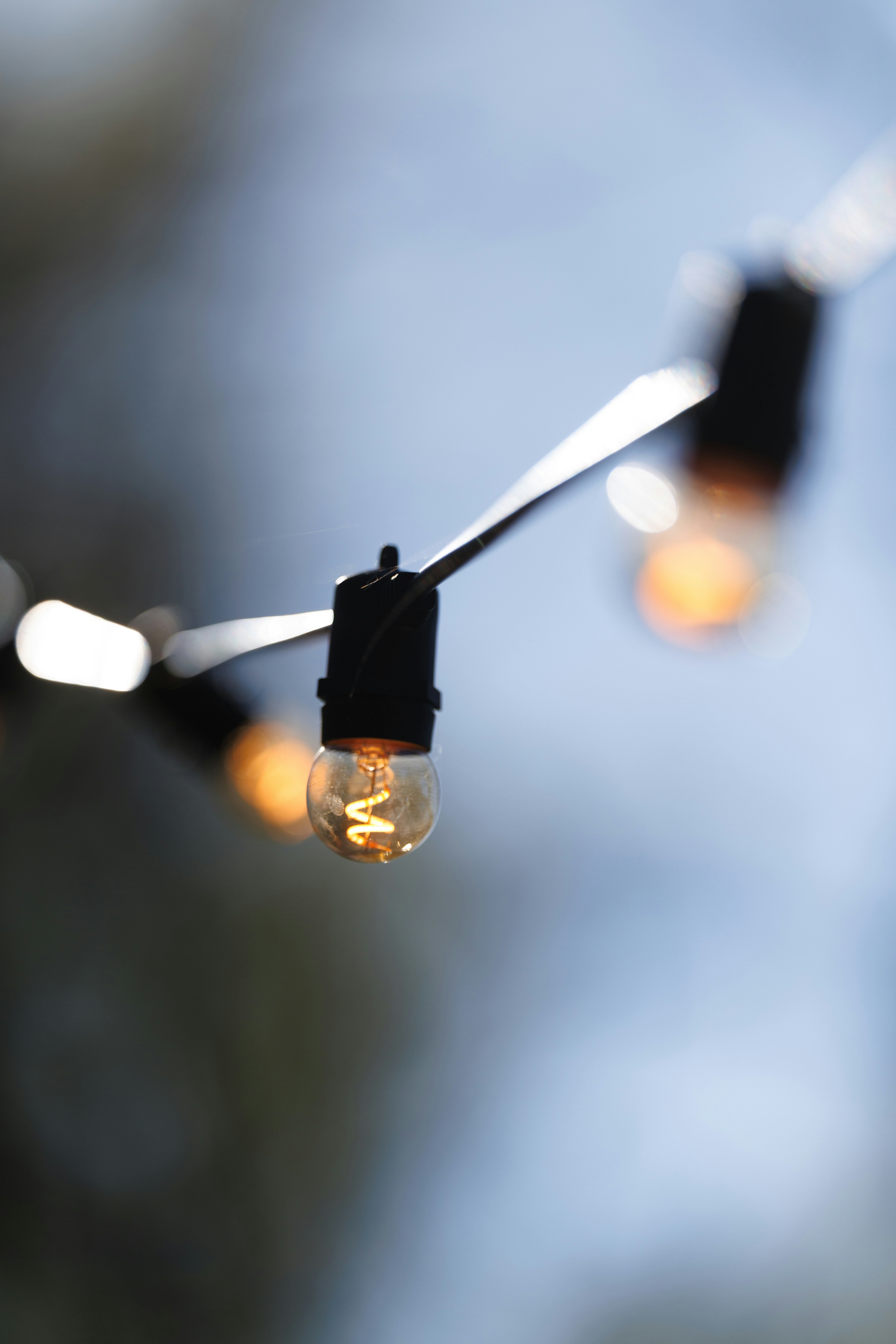 Warm Glow of Hanging Bulbs in Soft Focus