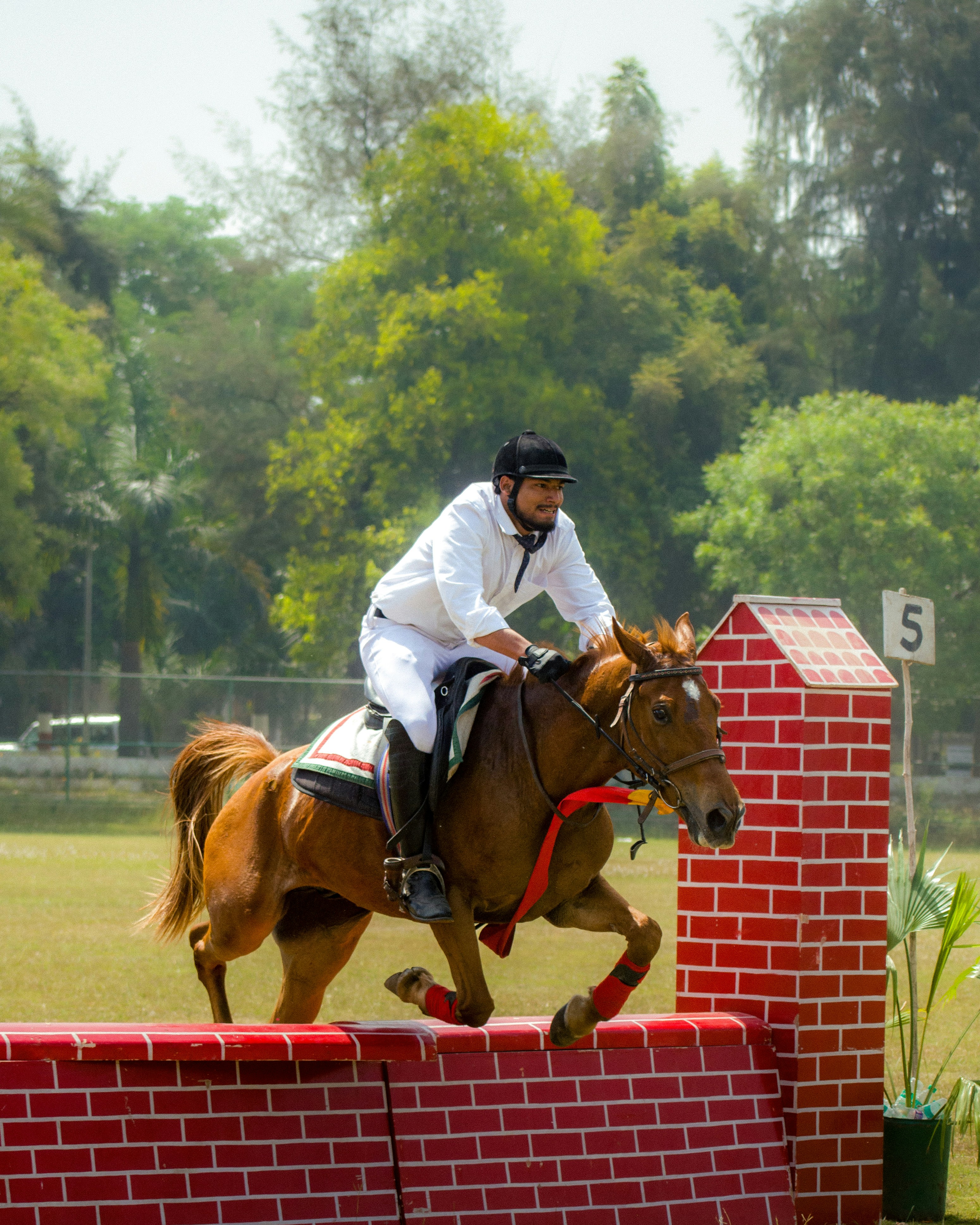 Rider and Horse Clear the Brick Jump in a Sunny Equestrian Arena