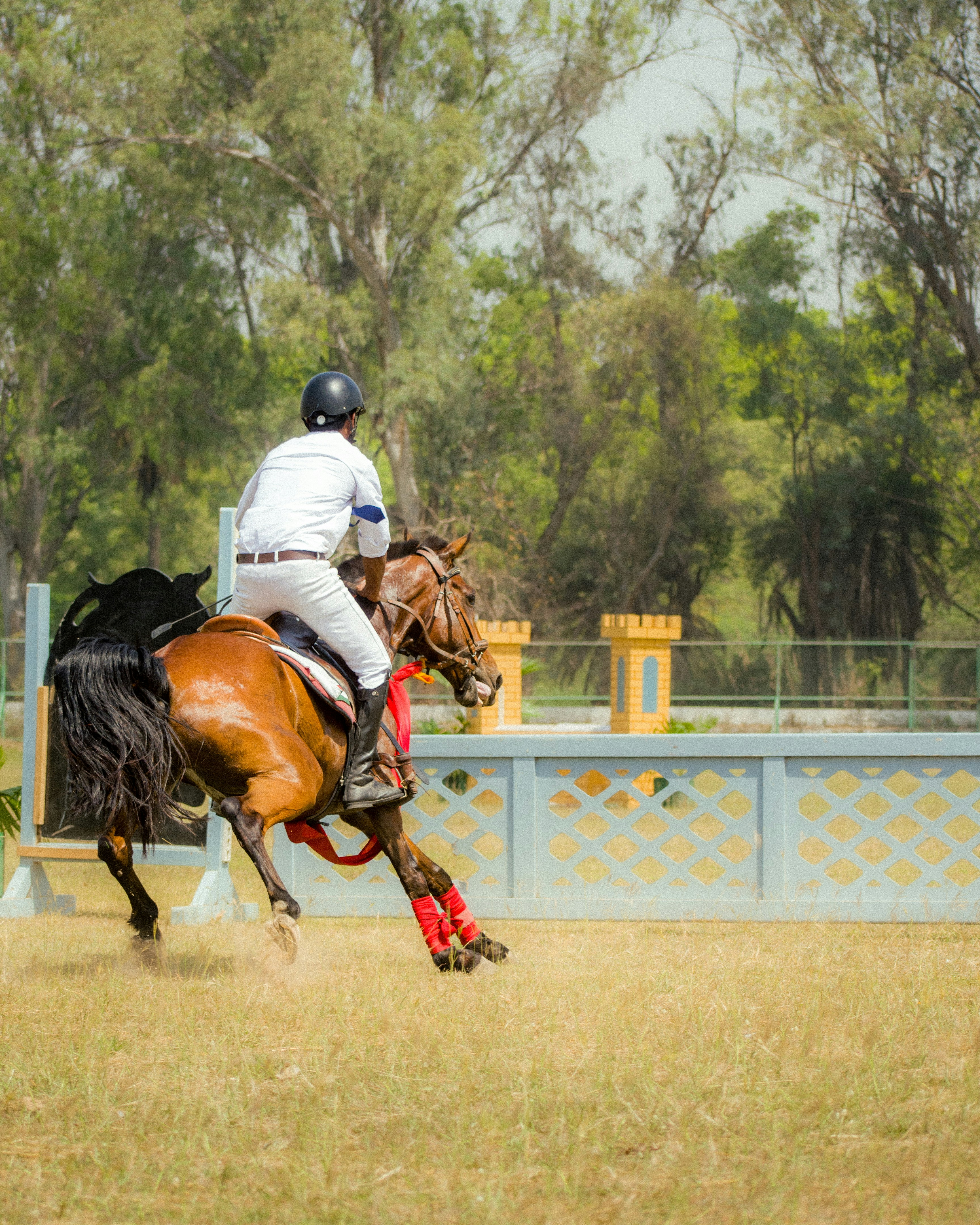 Charging Crest: A Rider and Horse in Mid-Stride Over a Jump