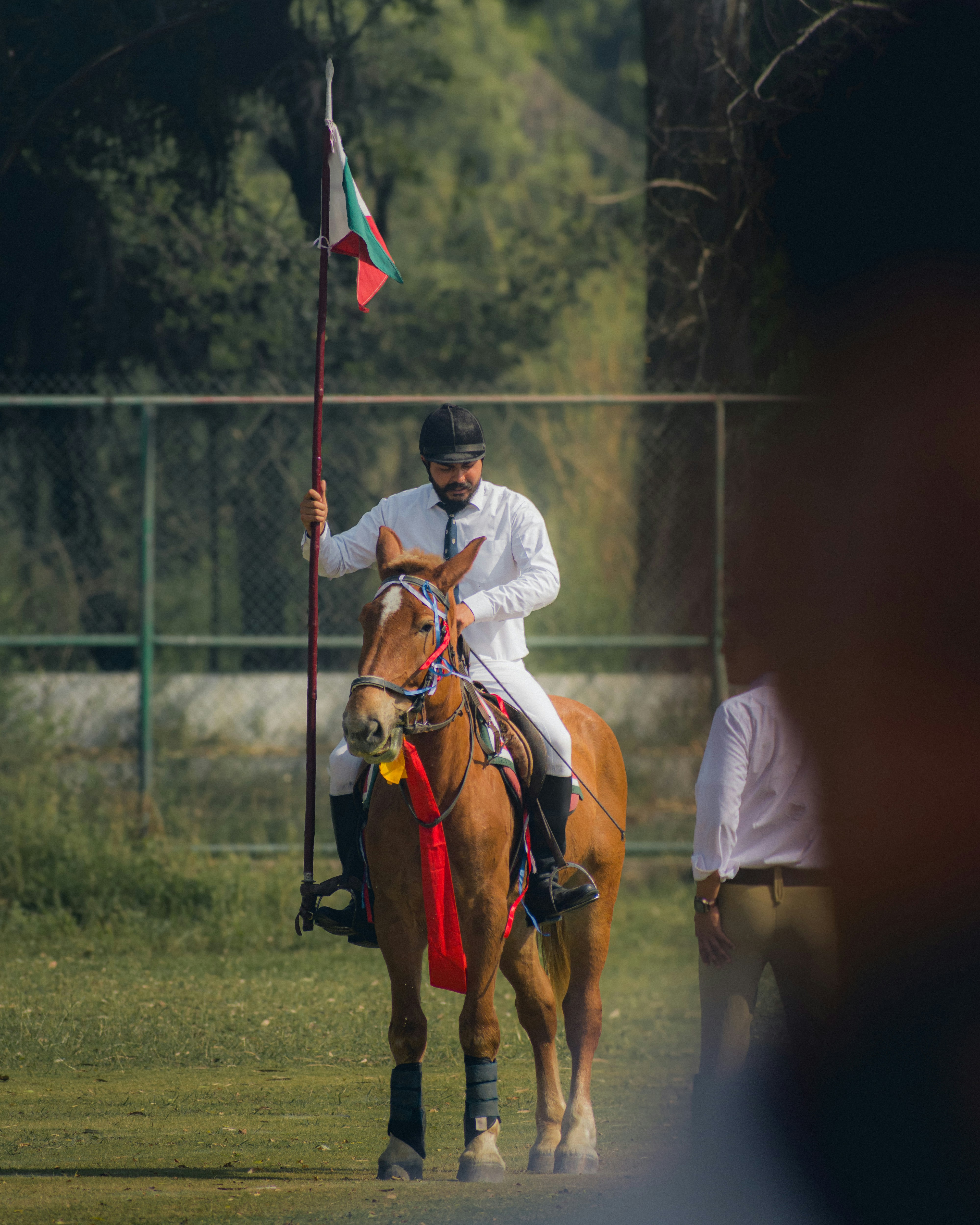 Heraldic Rider: Flag Bearer on the Arena Mare
