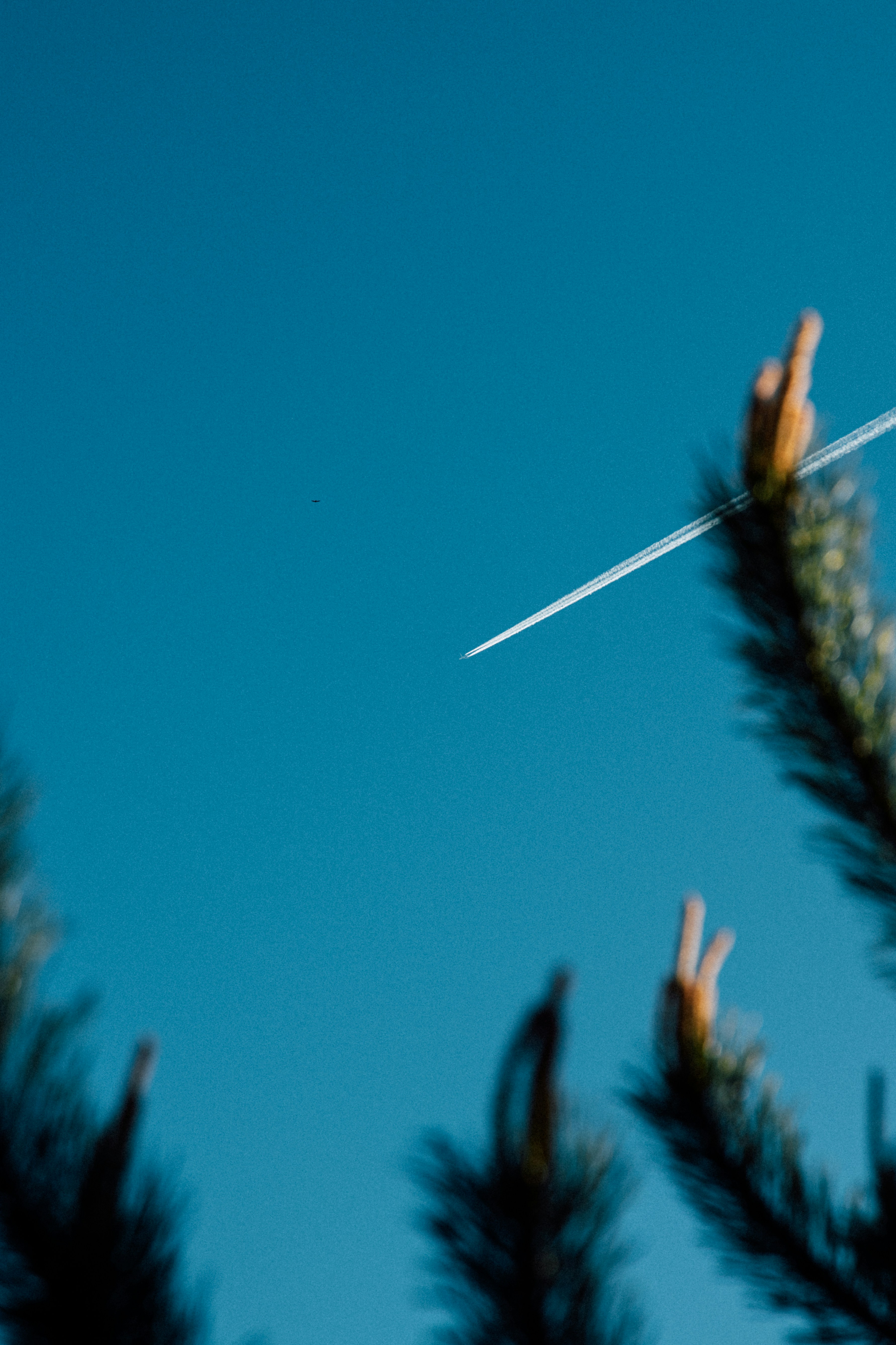 Skyline Tracer: A Contrail Crossing a Clear Blue Day